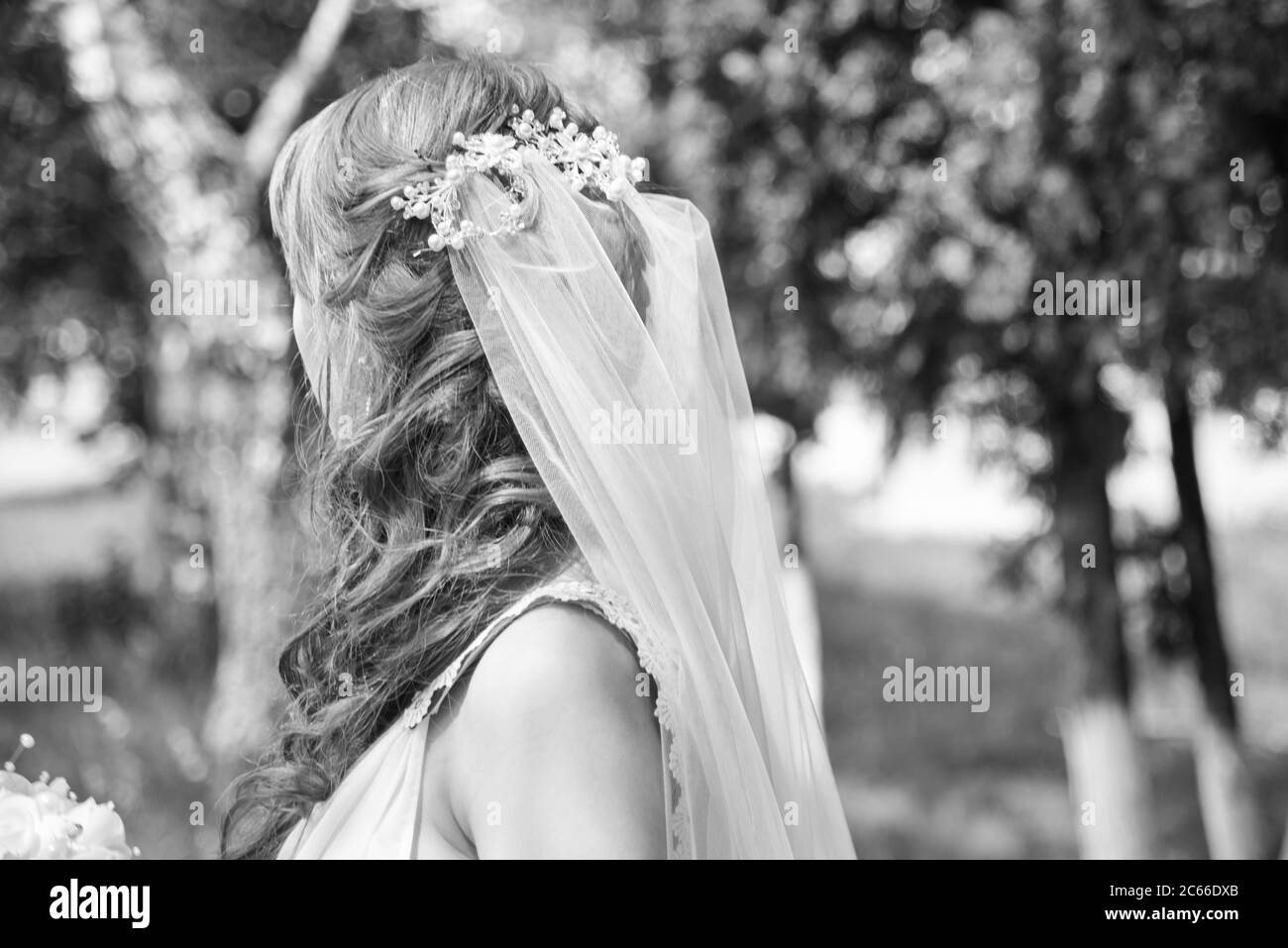 The back of a young bride with a veil in nature, black and white photo ...