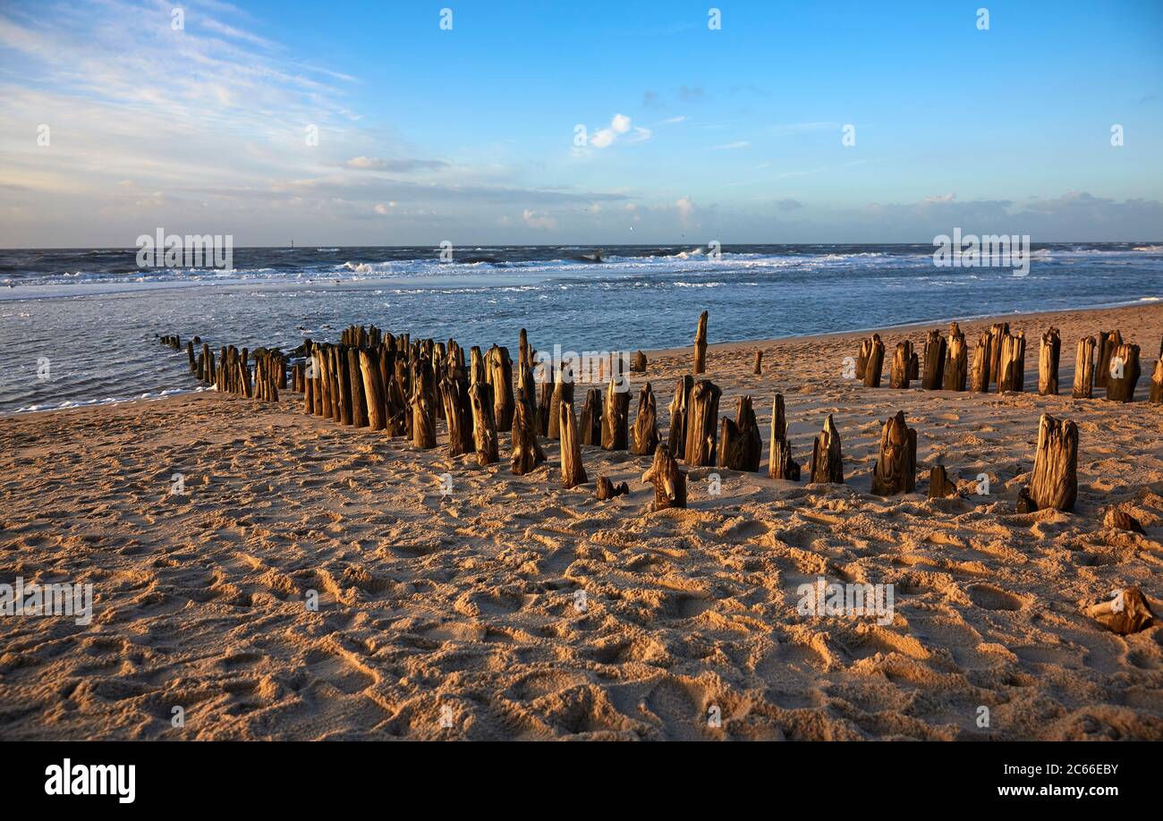 Germany, Sylt, Westerland, North Sea, beach, groynes, winter mood Stock ...