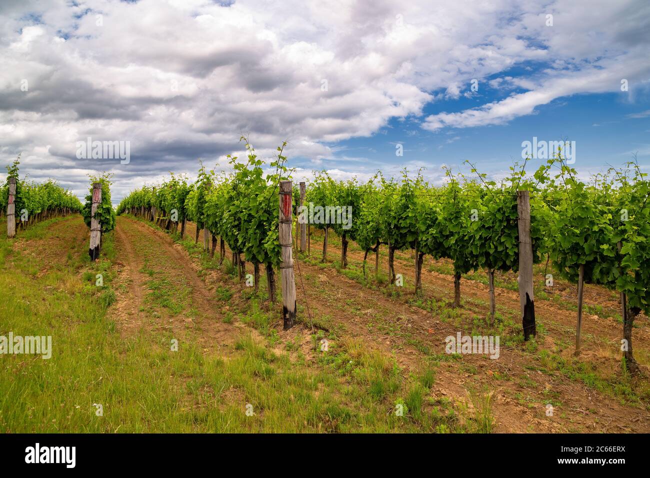 Tokaj hungary unesco hi-res stock photography and images - Alamy