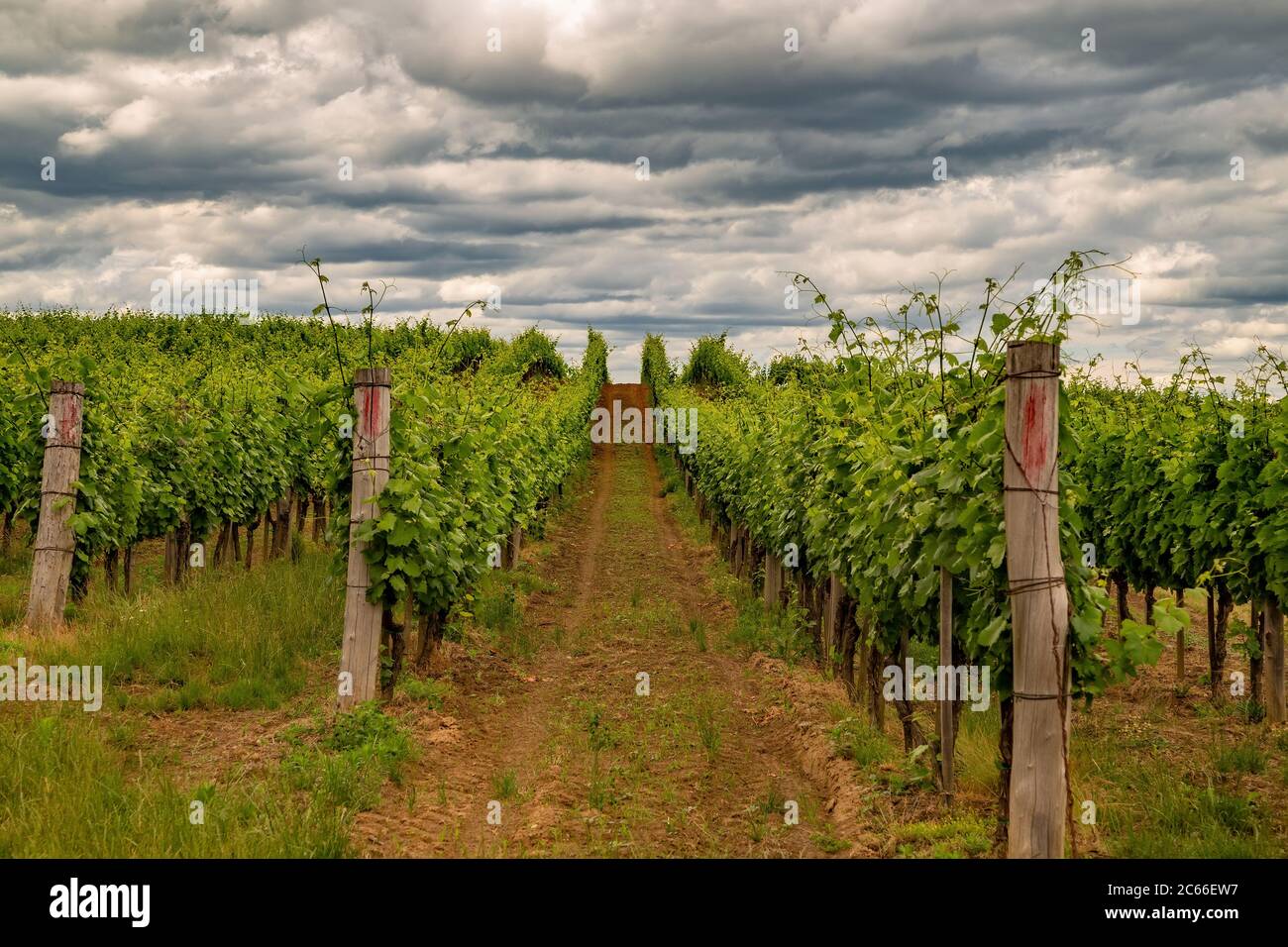 Tokaji High Resolution Stock Photography and Images - Alamy