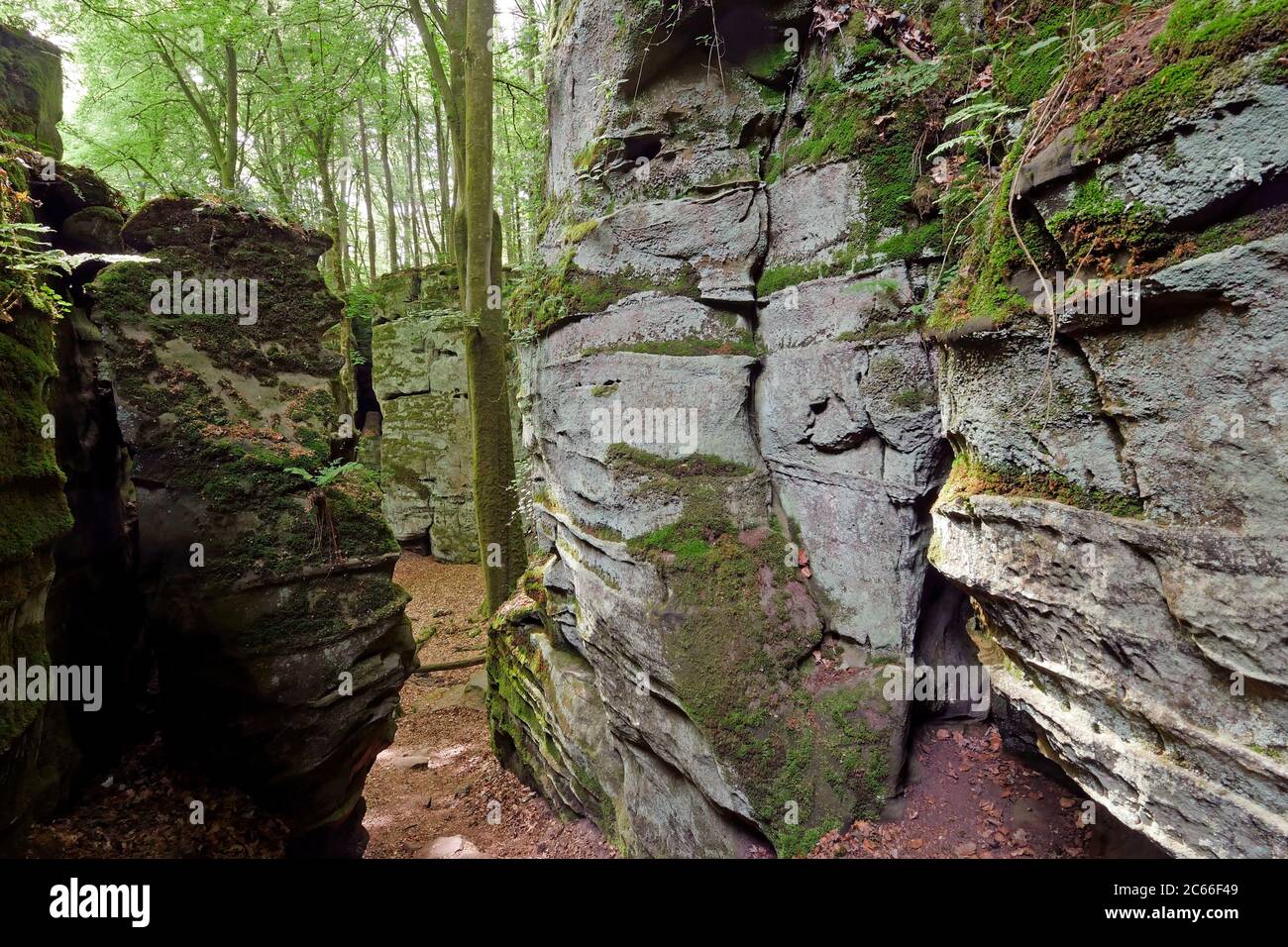 Teufelsschlucht (devil's gorge), Ferschweiler Plateau, Eifel, Rhineland ...