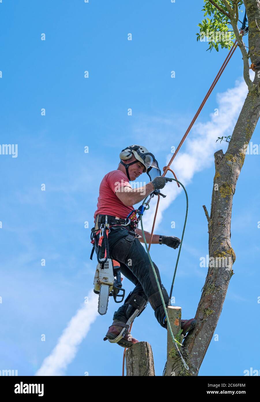Wear a safety harness hi-res stock photography and images - Alamy