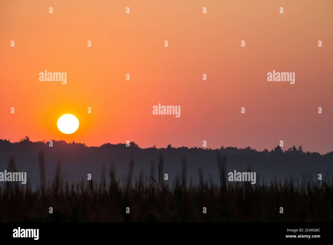 Orange sky with rising sun Stock Photo - Alamy