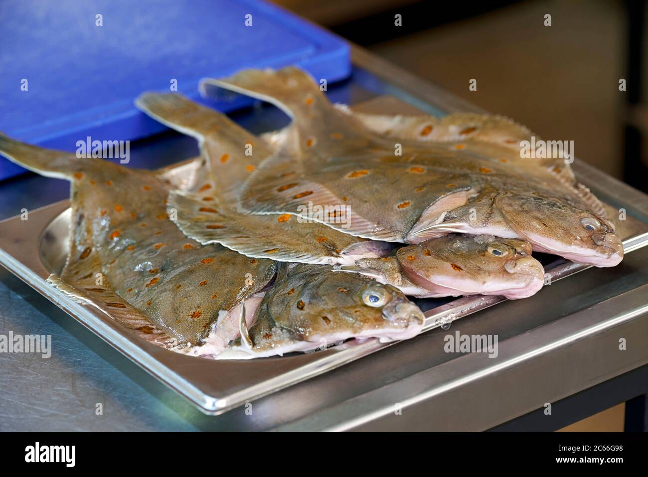 Flat fish filleting hi-res stock photography and images - Alamy