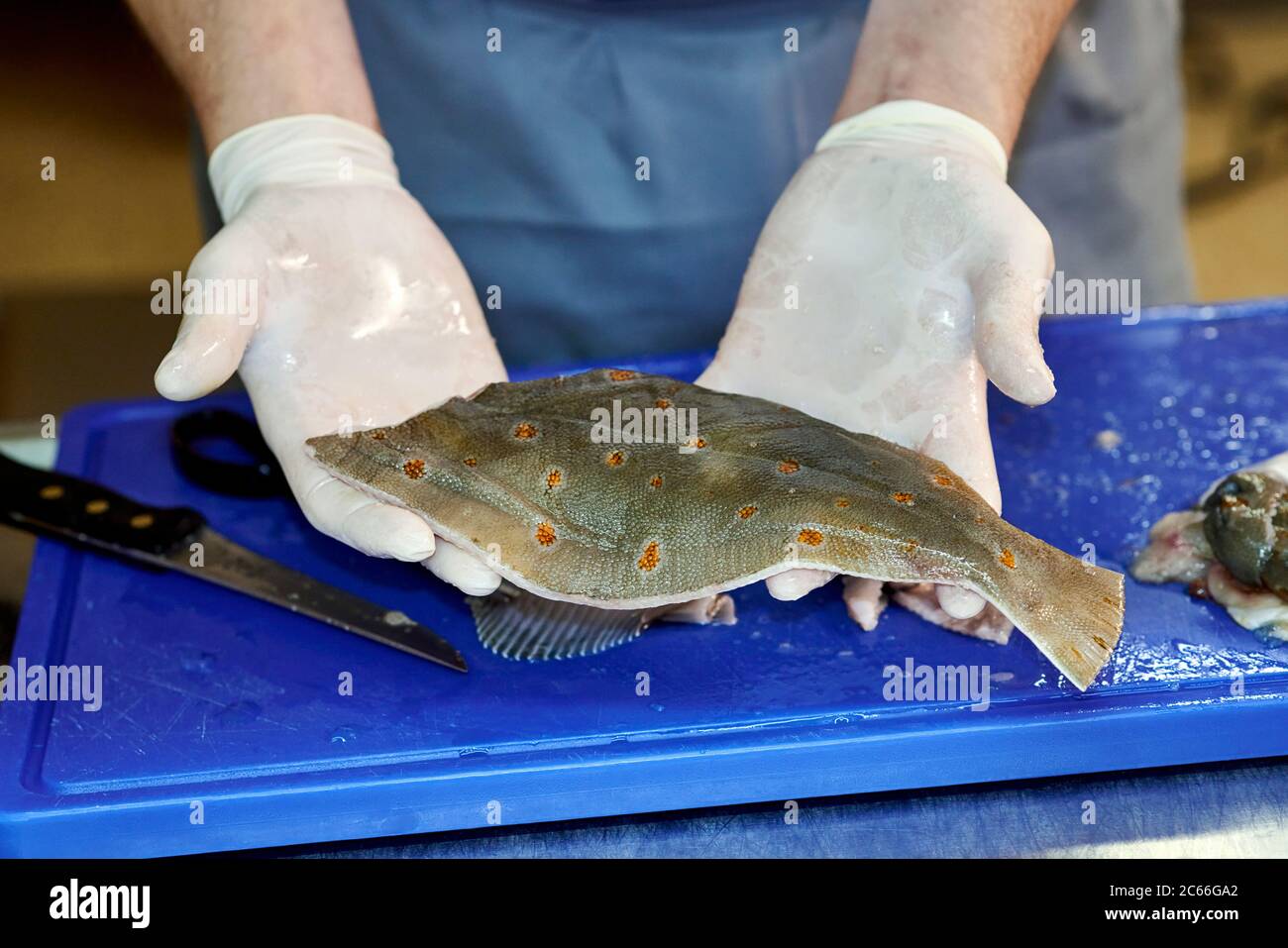 Flat fish filleting hi-res stock photography and images - Alamy
