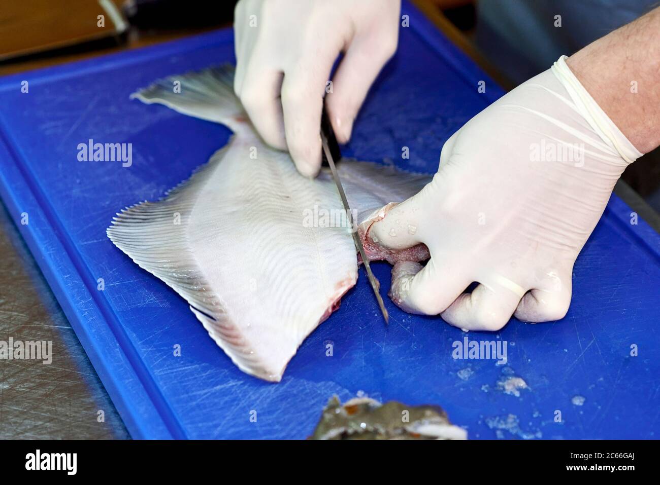 Filleting a plaice step-by-step Stock Photo - Alamy