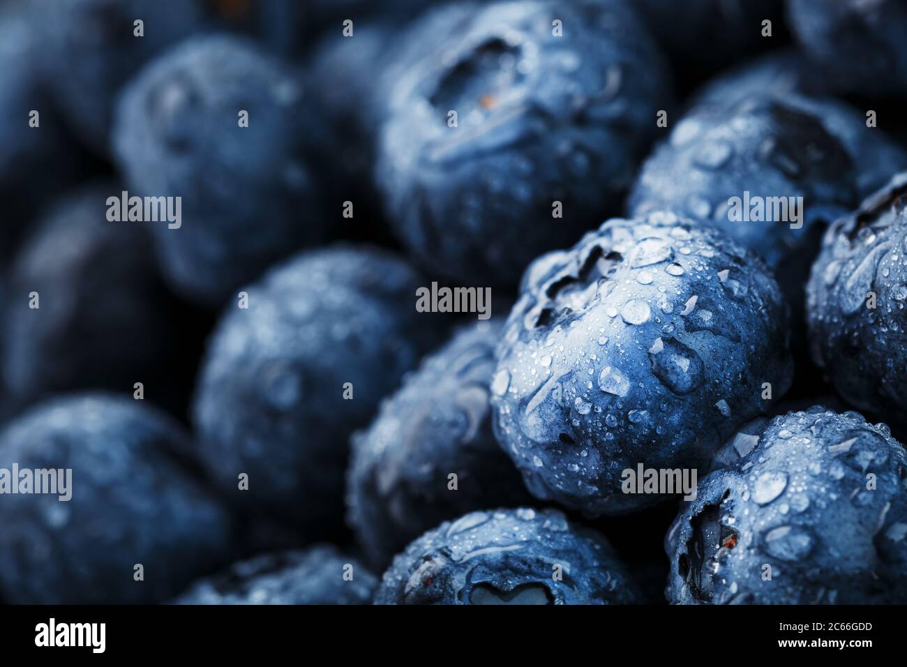 Blueberries close-up in full screen with dew drops Stock Photo - Alamy