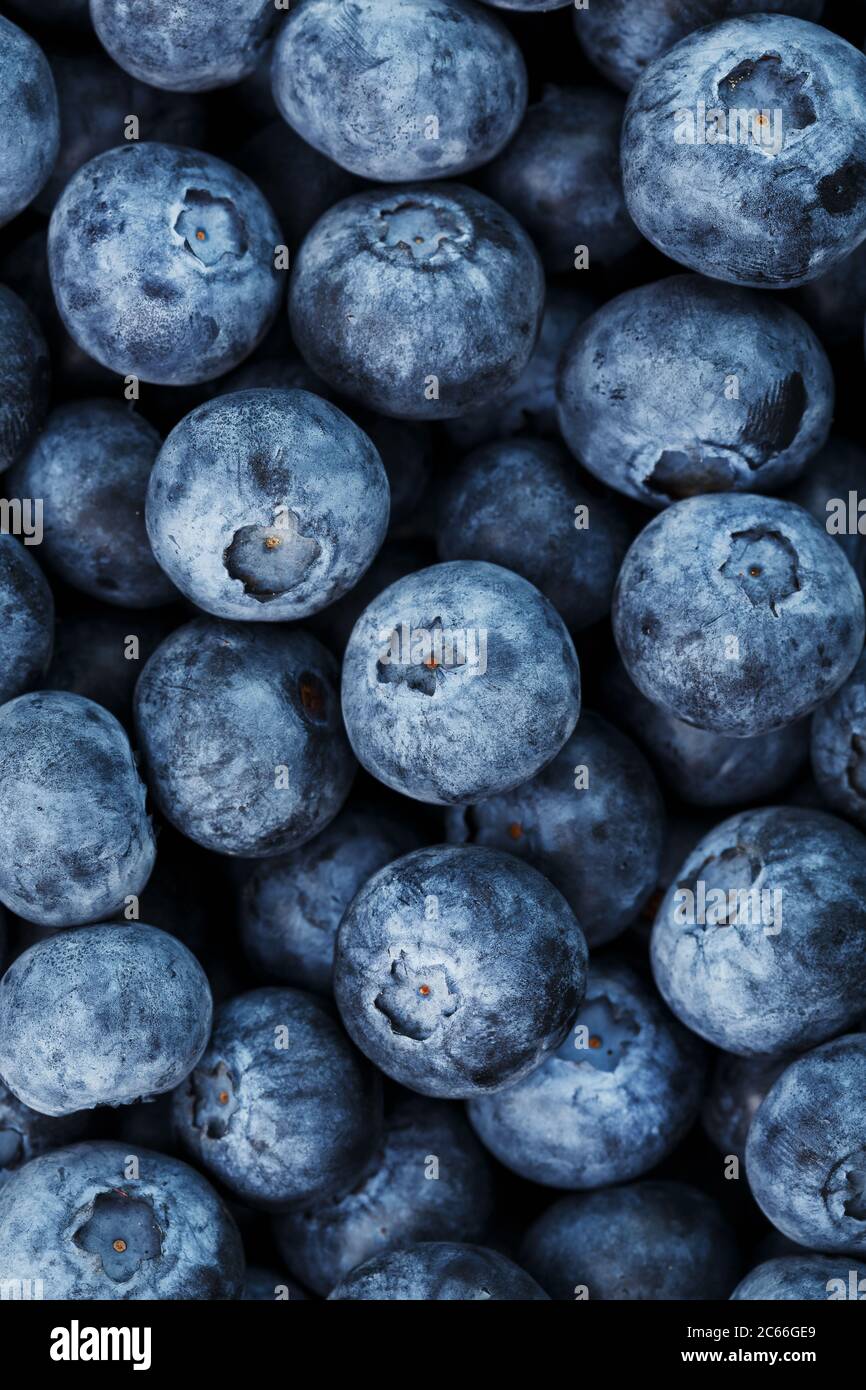 Blueberries in the form of a full-screen texture Stock Photo - Alamy