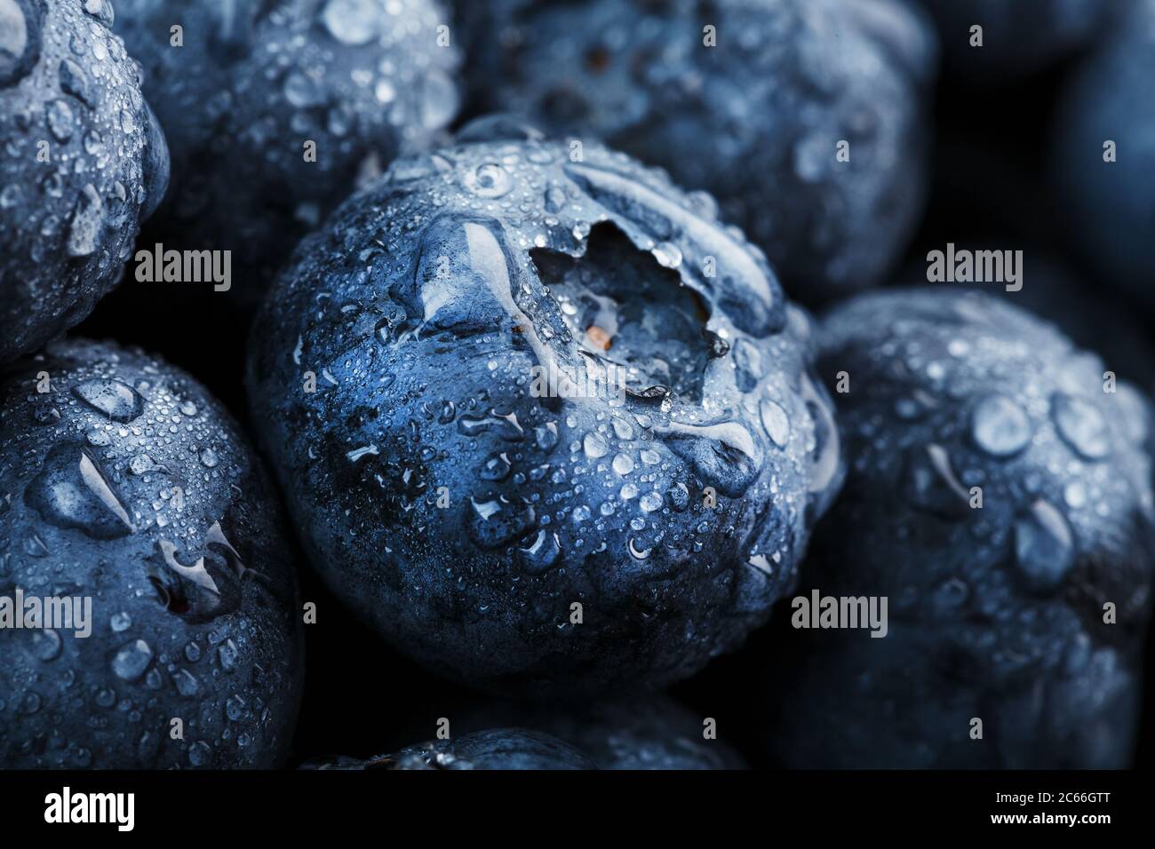 Blueberries close-up in full screen with dewdrops Stock Photo - Alamy