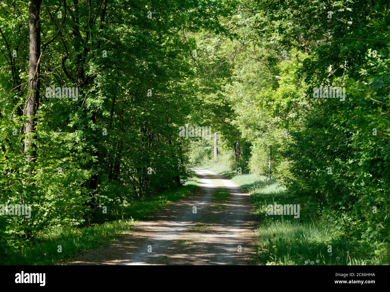 Germany, Bavaria, Upper Bavaria, Neuötting, path along the Inn River ...