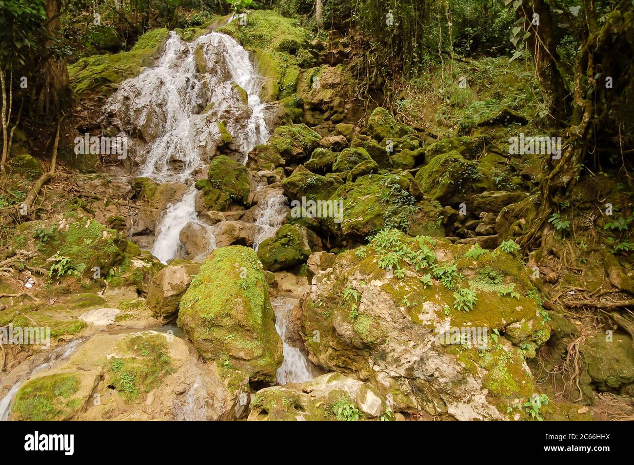 Landscape in Semuc Champey, Lanquin, Guatemala, Central America Stock ...