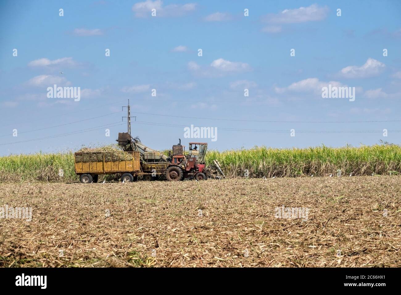 Cuba, Havana, Rural Cuba, field, tractor, sugar cane harvest Stock ...