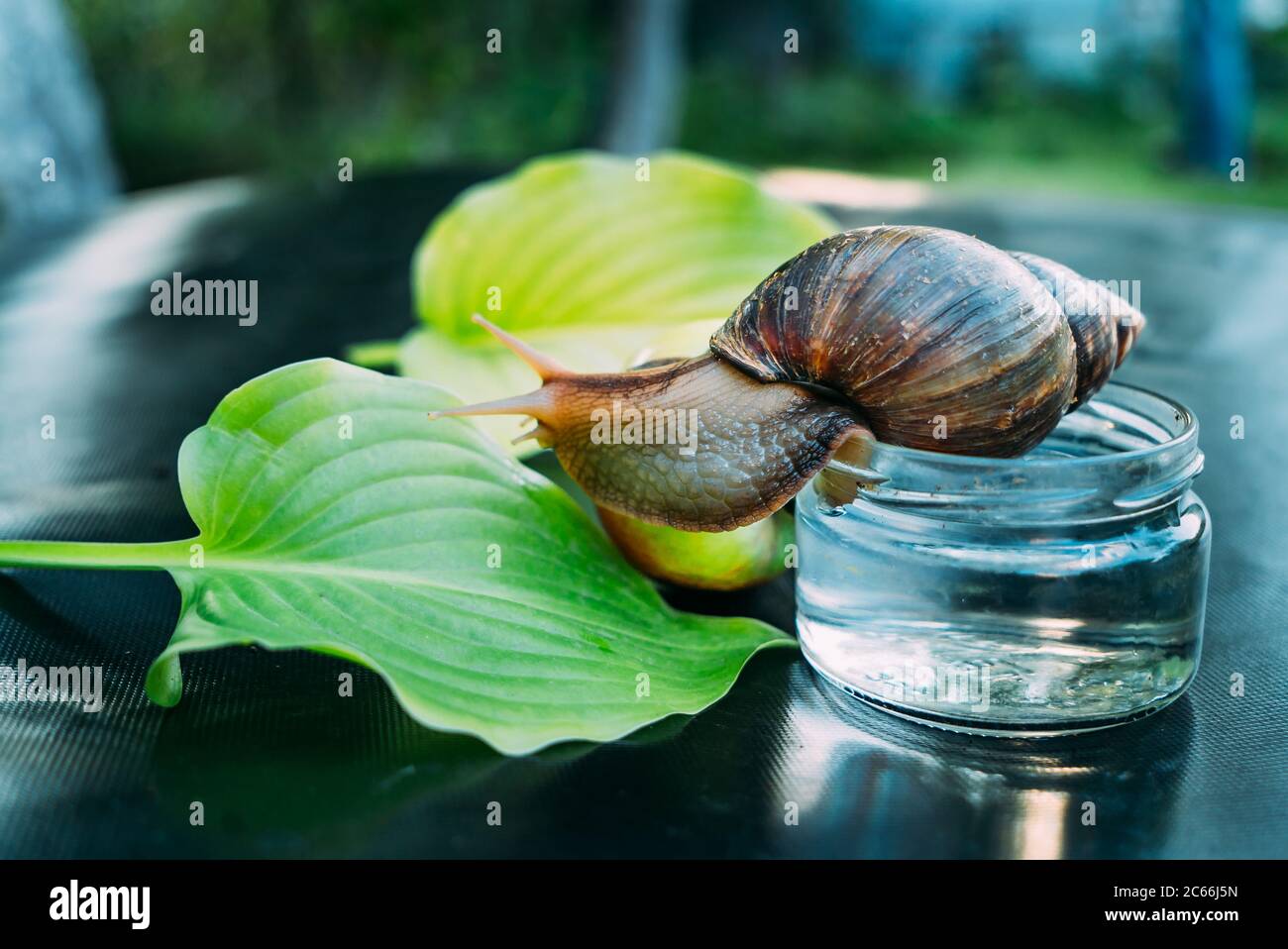 Giant glass bottle hi-res stock photography and images - Alamy