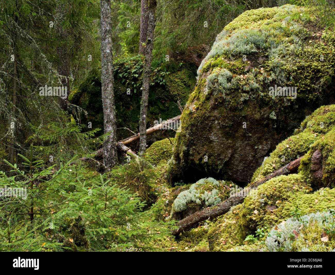 Smaland granite hi-res stock photography and images - Alamy