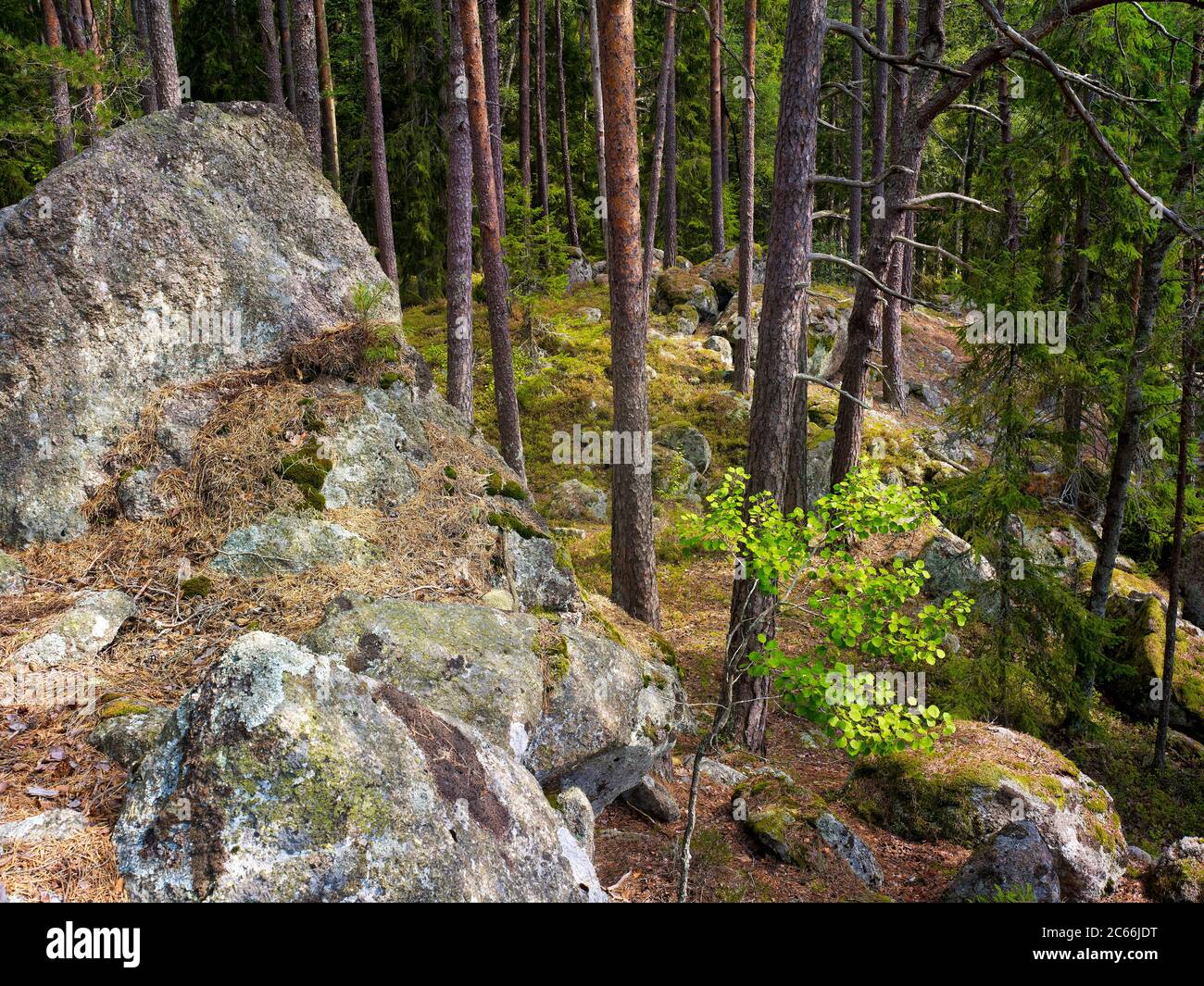 Vaster gotland hi-res stock photography and images - Alamy