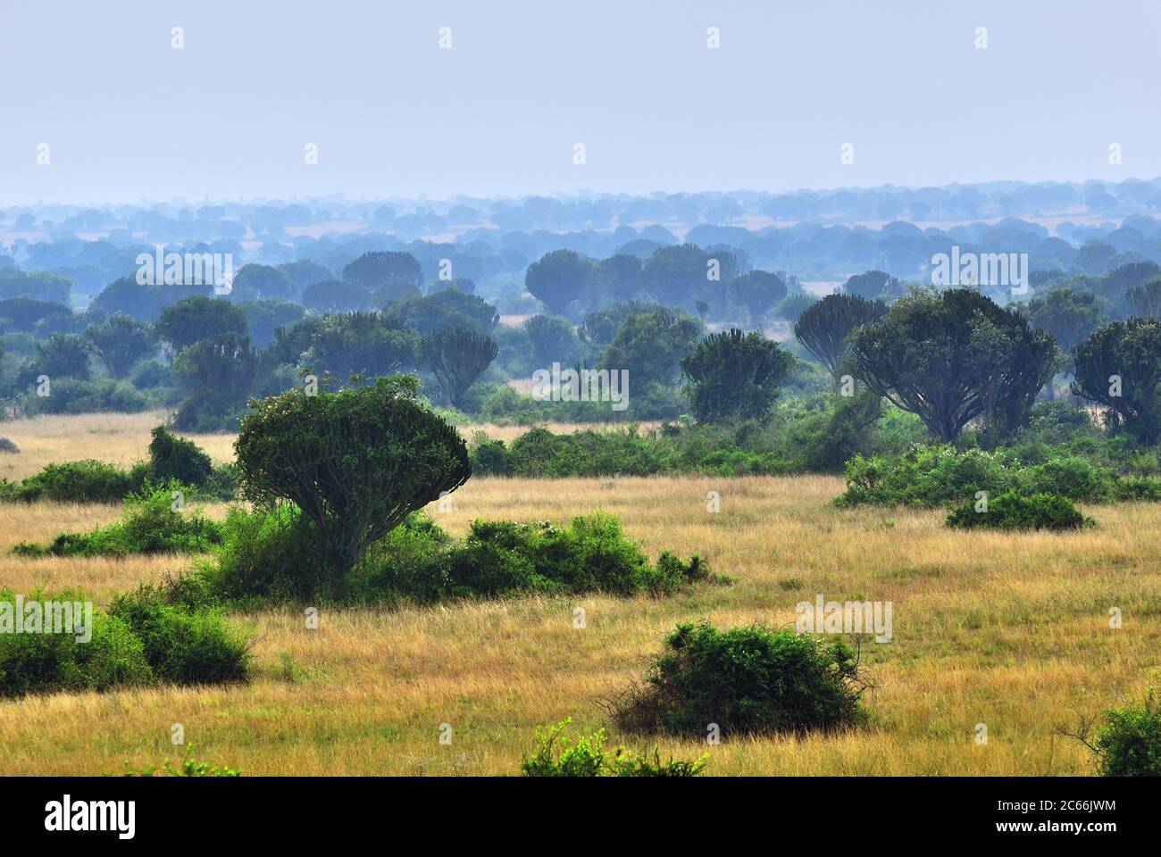 Queen Elizabeth National Park landscape at sunrise. Uganda, Africa ...