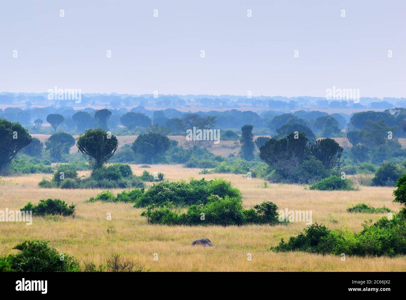 Queen Elizabeth National Park landscape at sunrise. Uganda, Africa ...