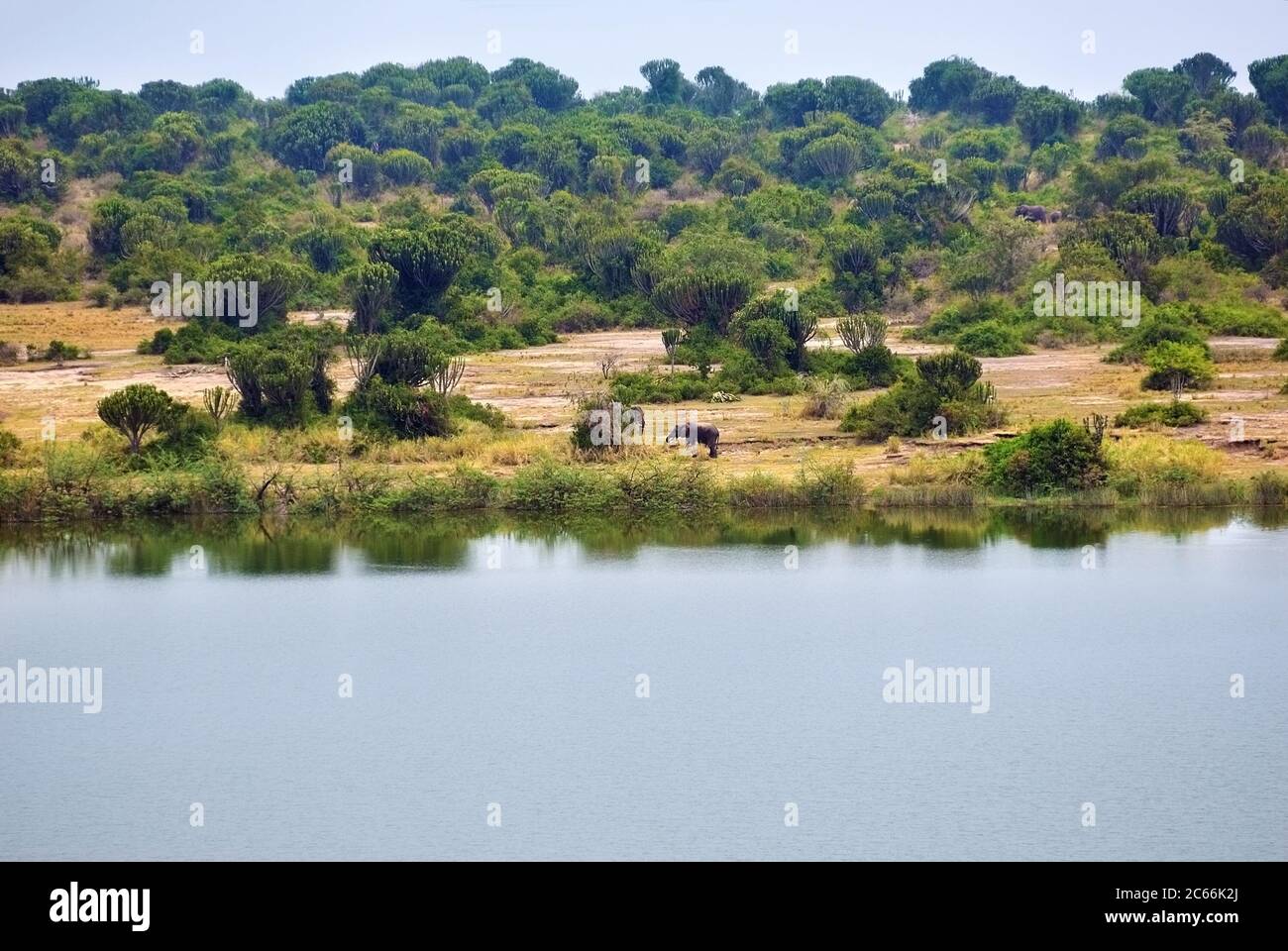 Misty sunrise over Lake George in Uganda. Lake George or Lake Dweru is ...