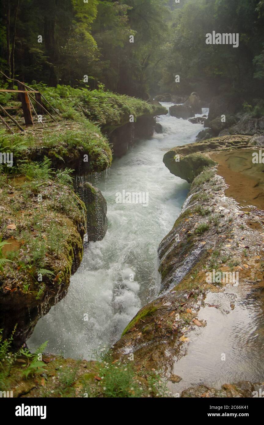 Landscape in Semuc Champey, Lanquin, Guatemala, Central America Stock ...