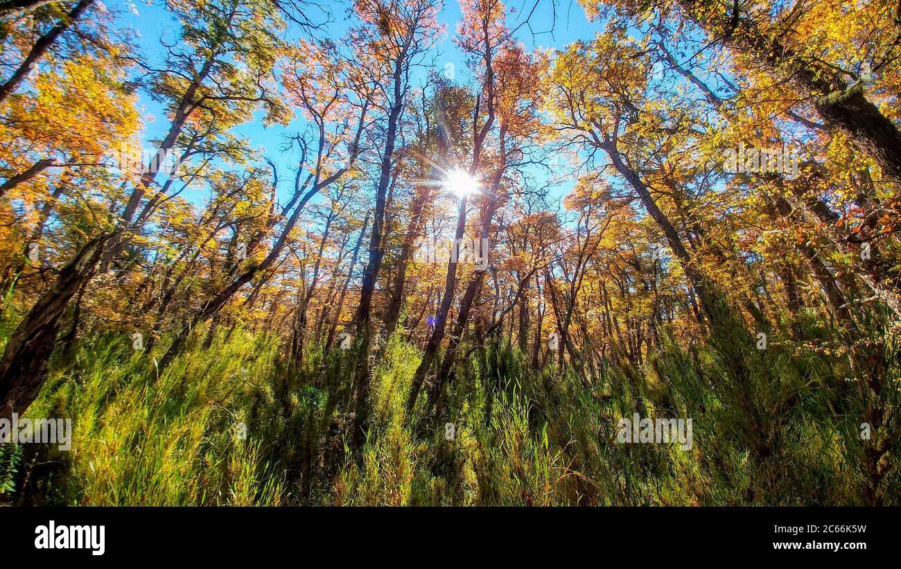 Shining colours hi-res stock photography and images - Alamy