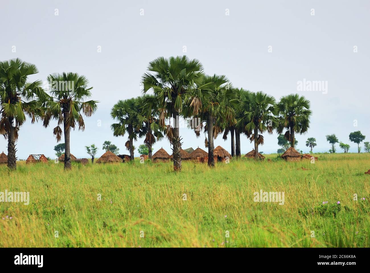 African tree huts in rural hi-res stock photography and images - Alamy