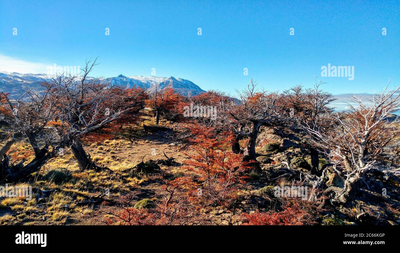 Autumn snow landscape hi-res stock photography and images - Alamy