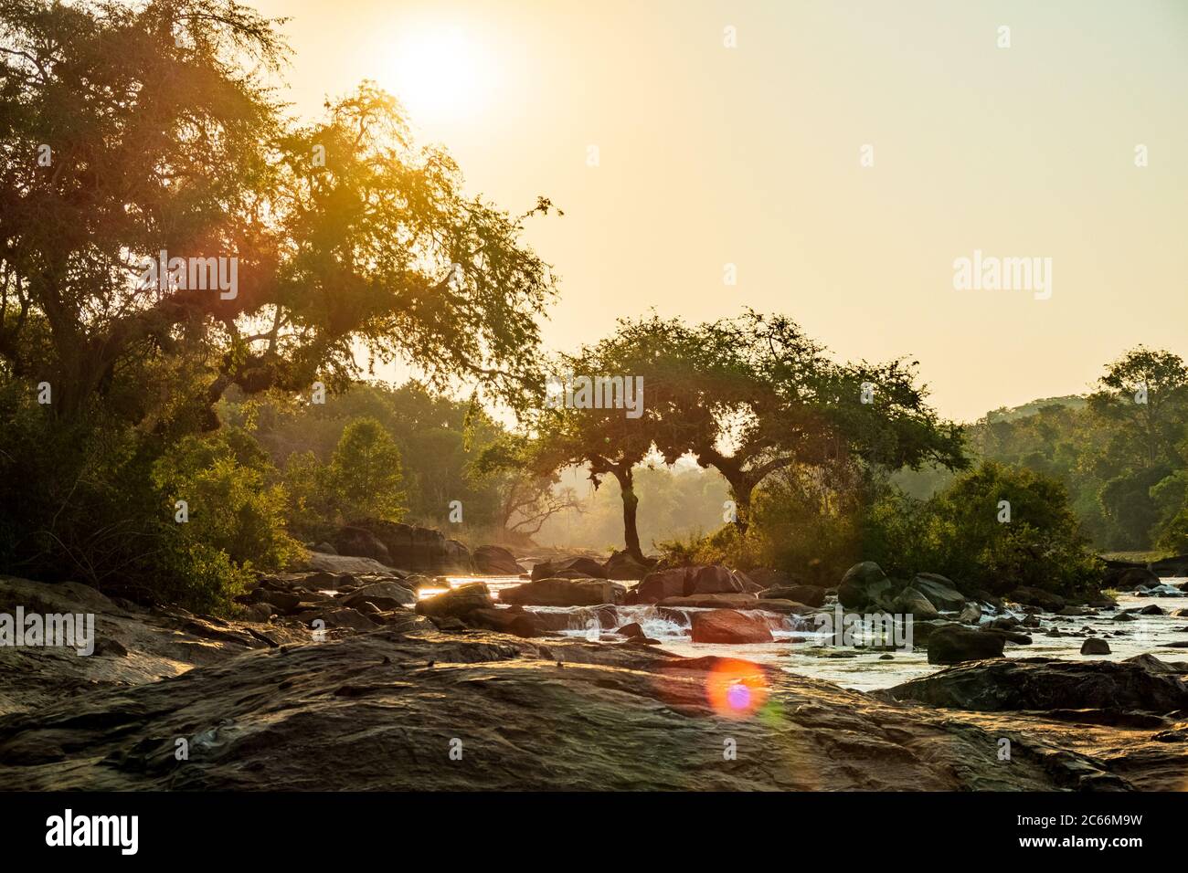 Sunset with light beams over the trees Stock Photo - Alamy