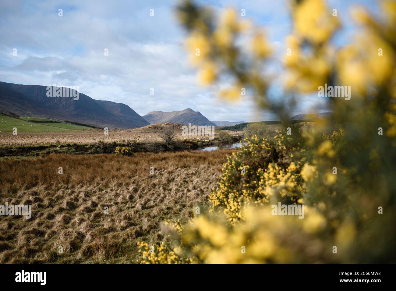 Landscape in Connemara National Park, Ireland Stock Photo - Alamy