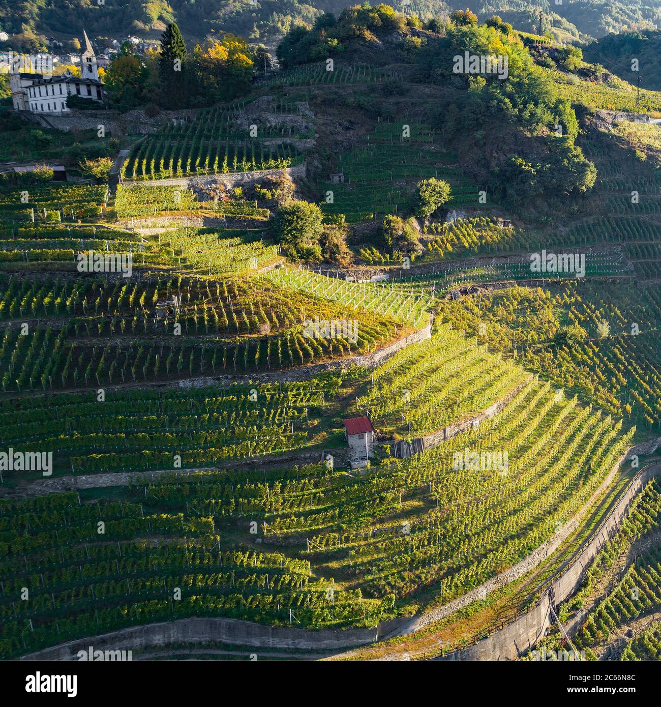 Castionetto hi-res stock photography and images - Alamy