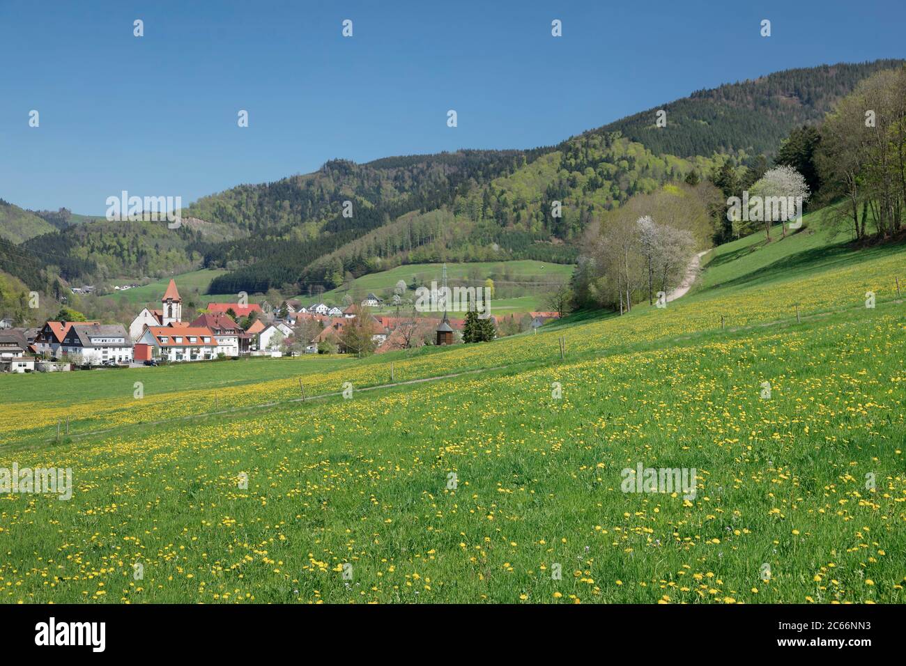 Wagensteigbach hi-res stock photography and images - Alamy