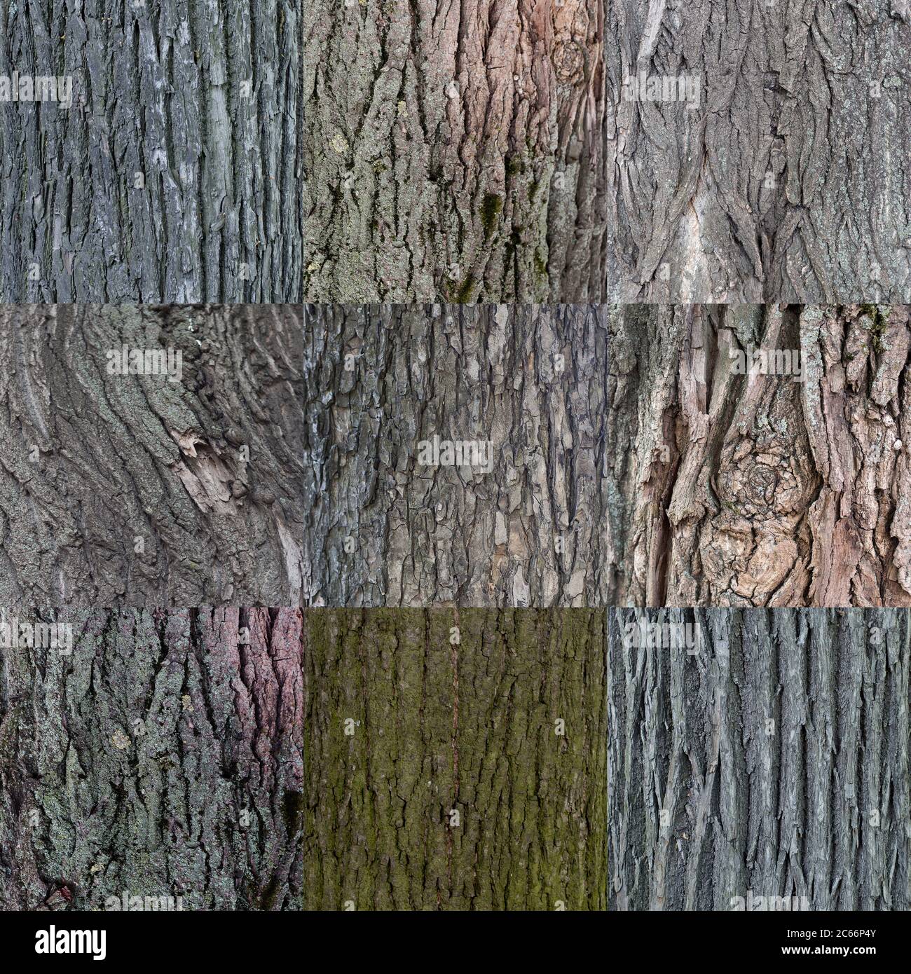 Realistic wood texture hi-res stock photography and images - Alamy