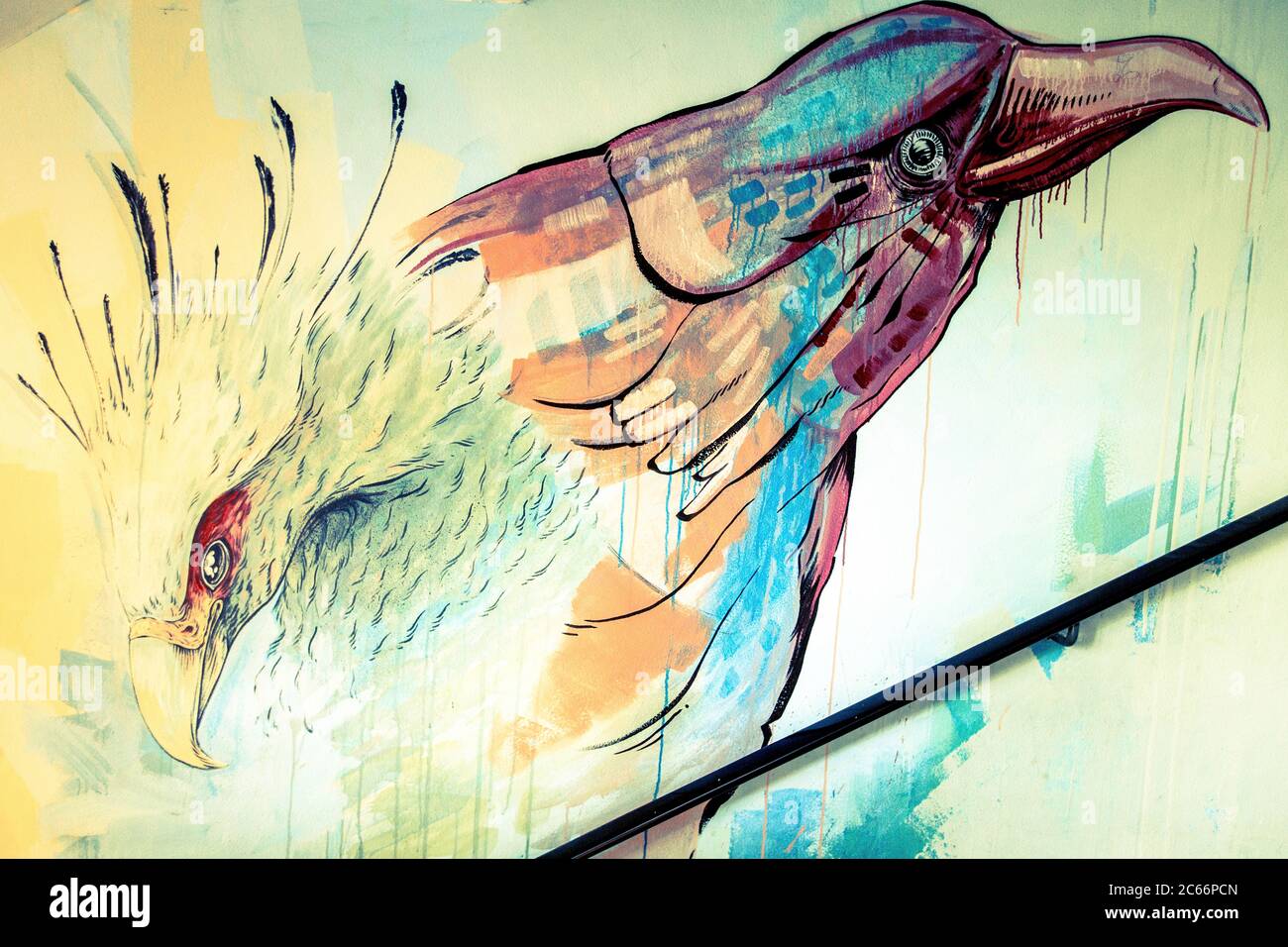Graffiti on wall with bird heads, raven and eagle Stock Photo - Alamy