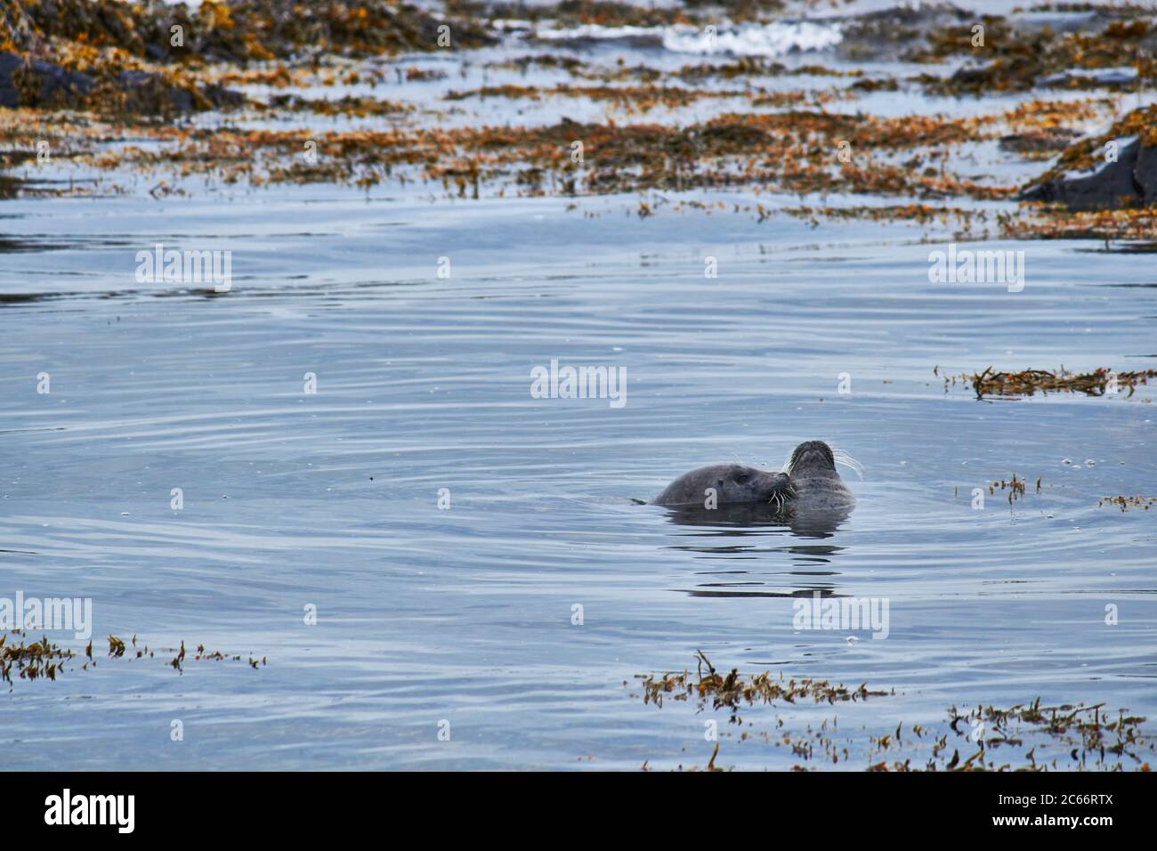 Selas hi-res stock photography and images - Alamy