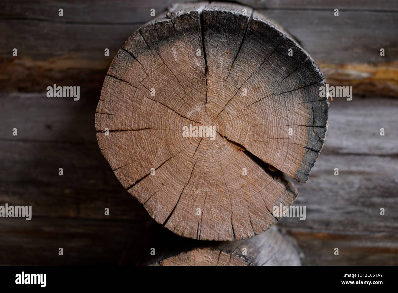 Round log hi-res stock photography and images - Alamy