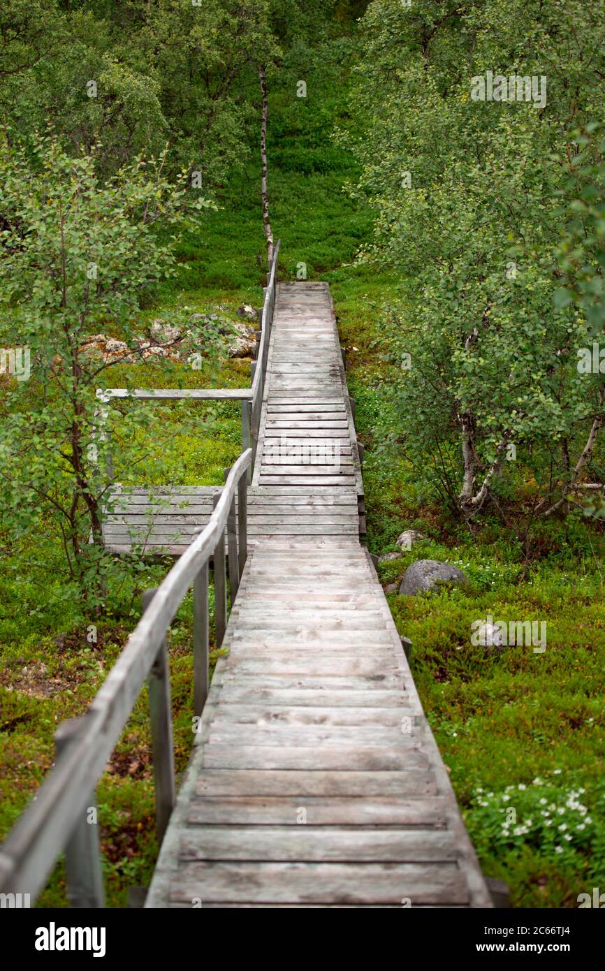Hundred steps down, wooden stairs in Lapland, Finland Stock Photo - Alamy