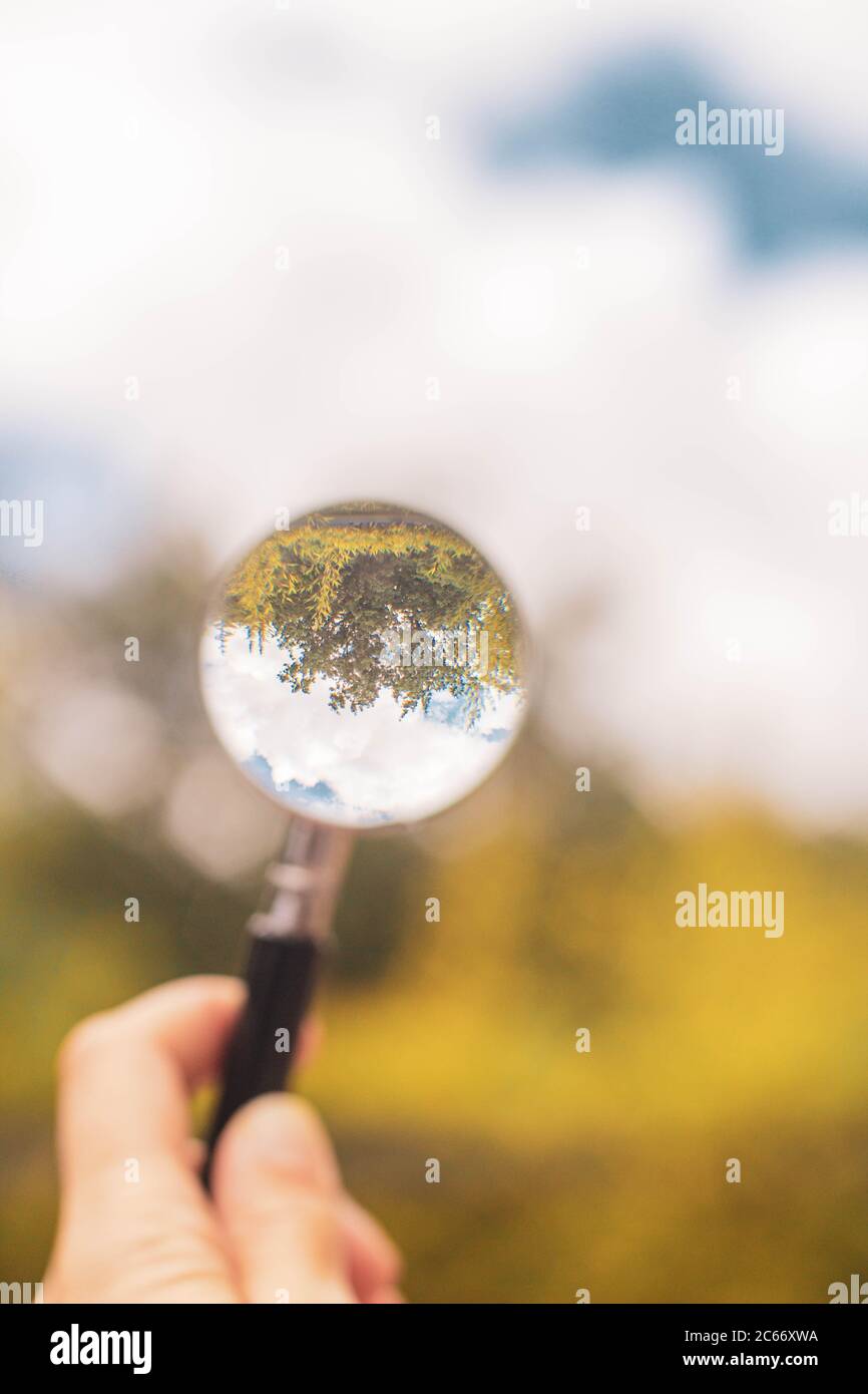 magnifying glass pointing at the field with trees against the blue sky ...