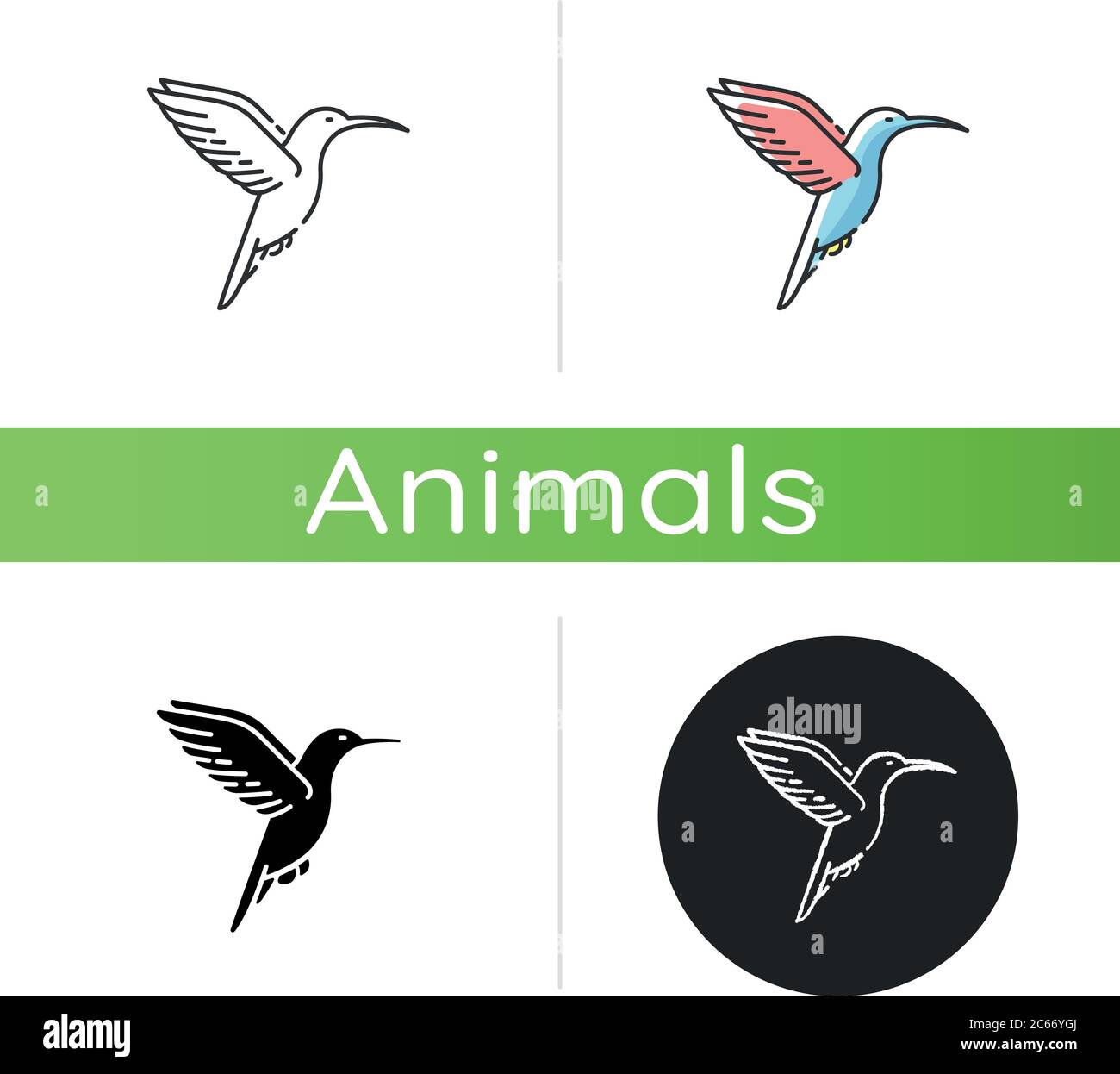 Hummingbird icon. Linear black and RGB color styles. Small exotic bird ...