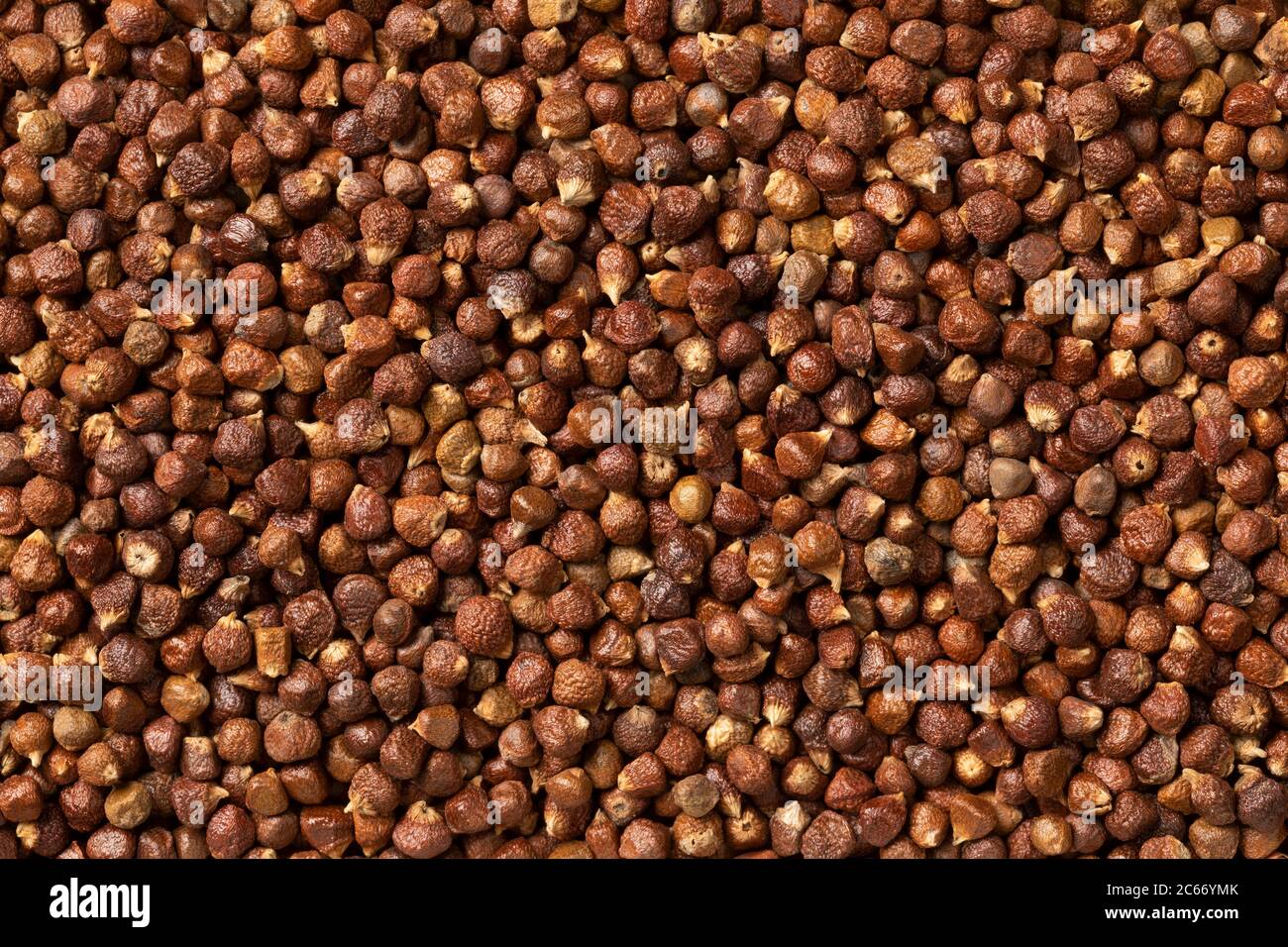 Dried grains of paradise close up full frame Stock Photo - Alamy