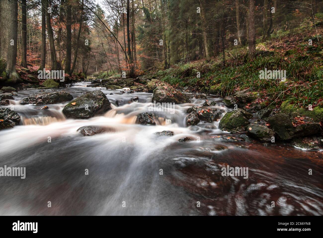 River Hoëgne high fens Stock Photo - Alamy