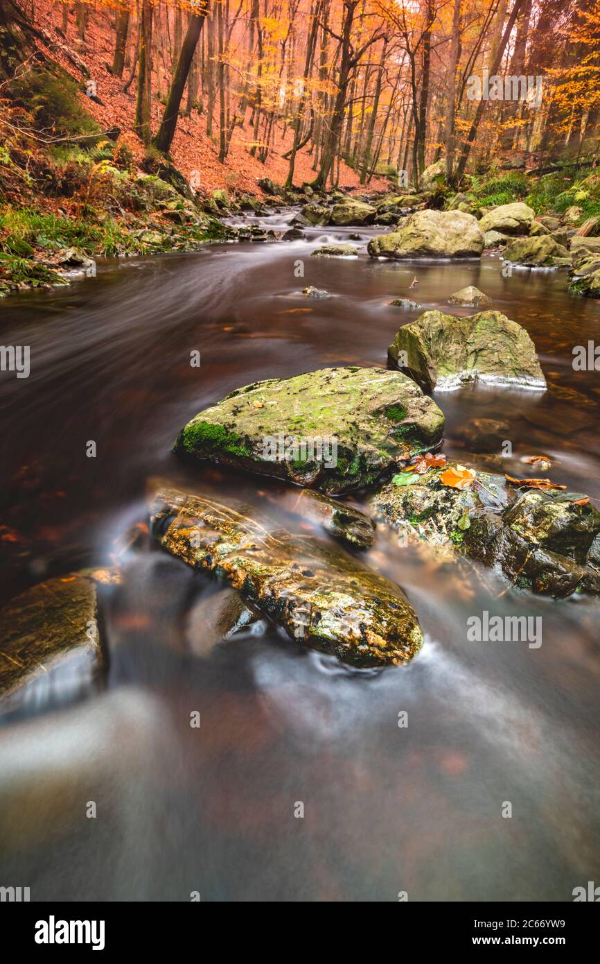 River Hoëgne high fens Stock Photo - Alamy