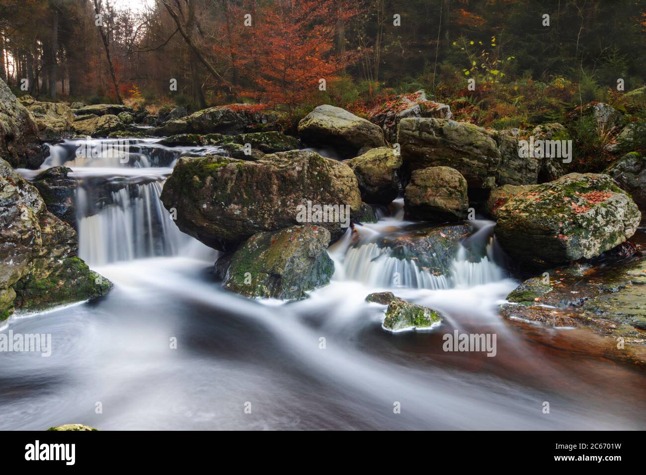 River Hoëgne high fens Stock Photo - Alamy