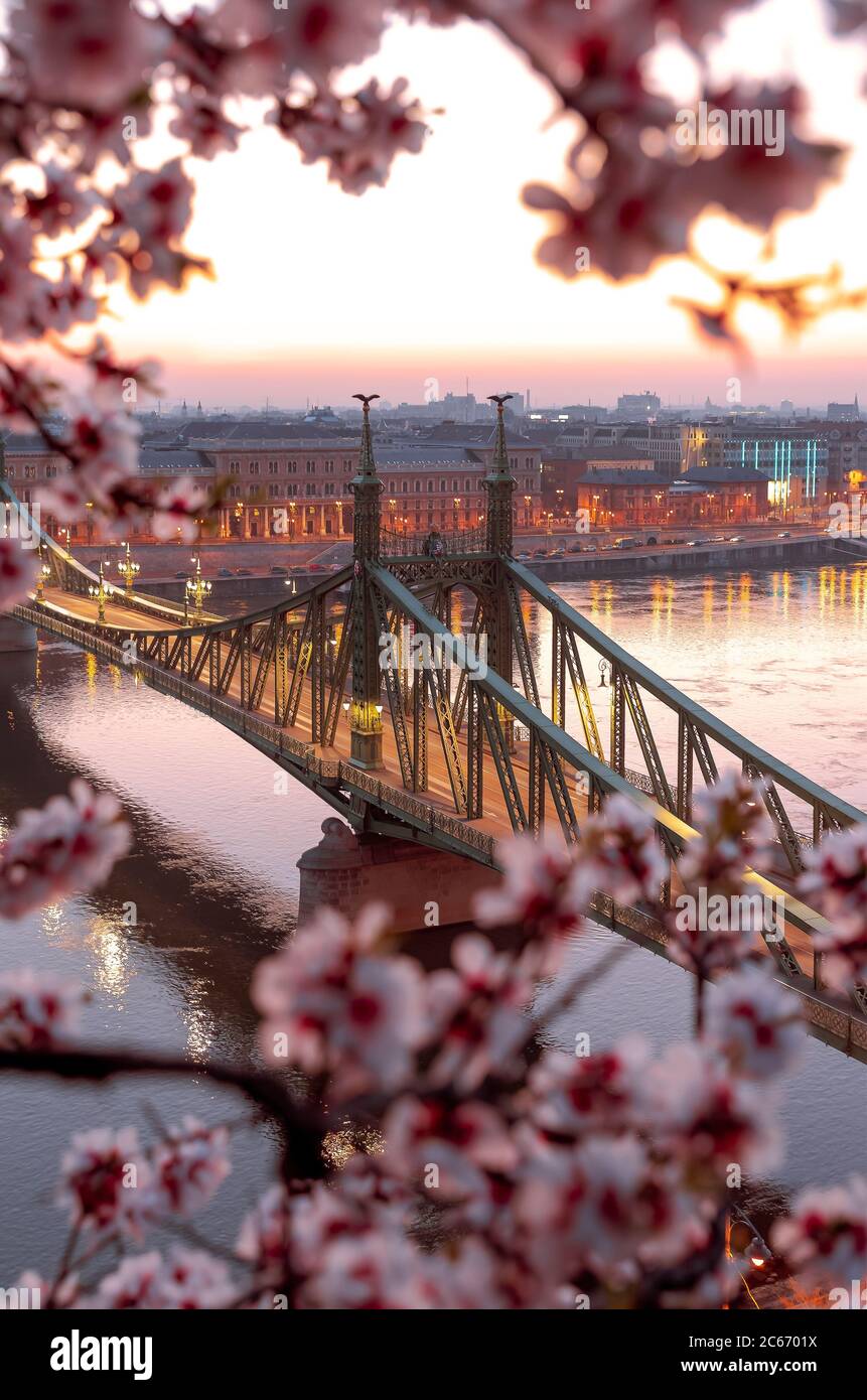 Budapest, Hungary - Beautiful Liberty Bridge at sunrise with cherry ...