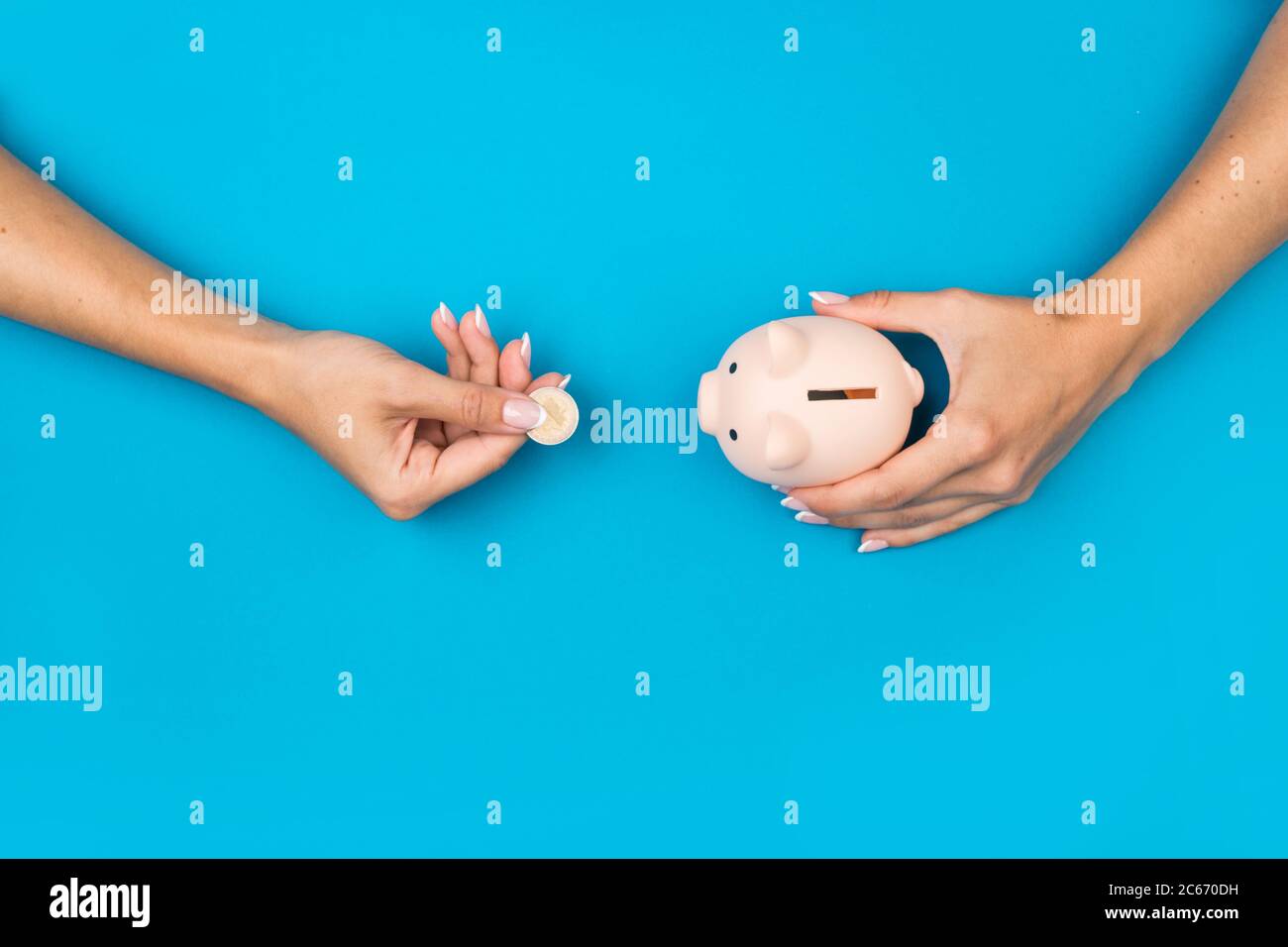 female hands put money in a piggy bank on a blue background ...