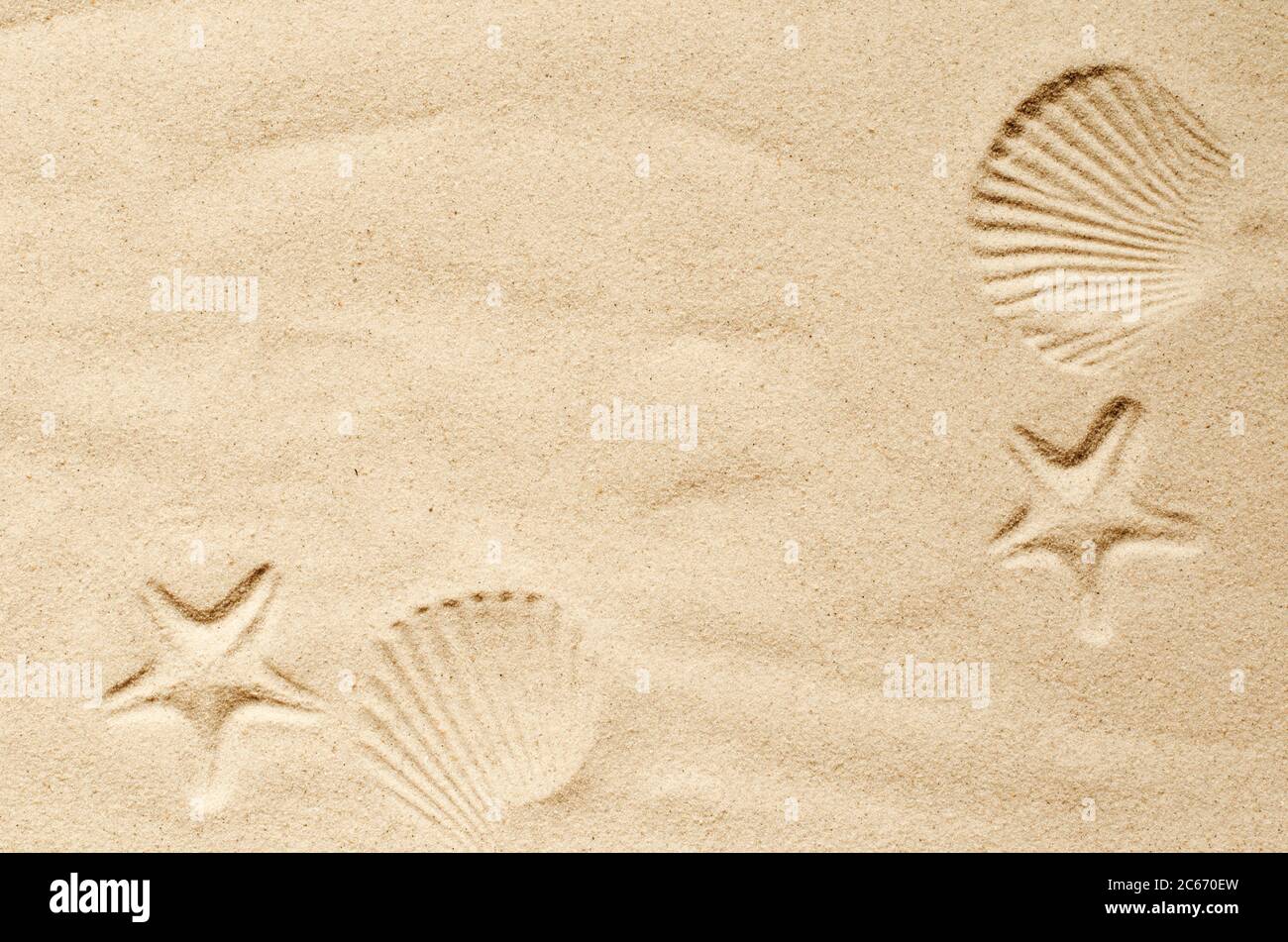Top view of a sandy beach, texture of clean sand of a natural surface ...