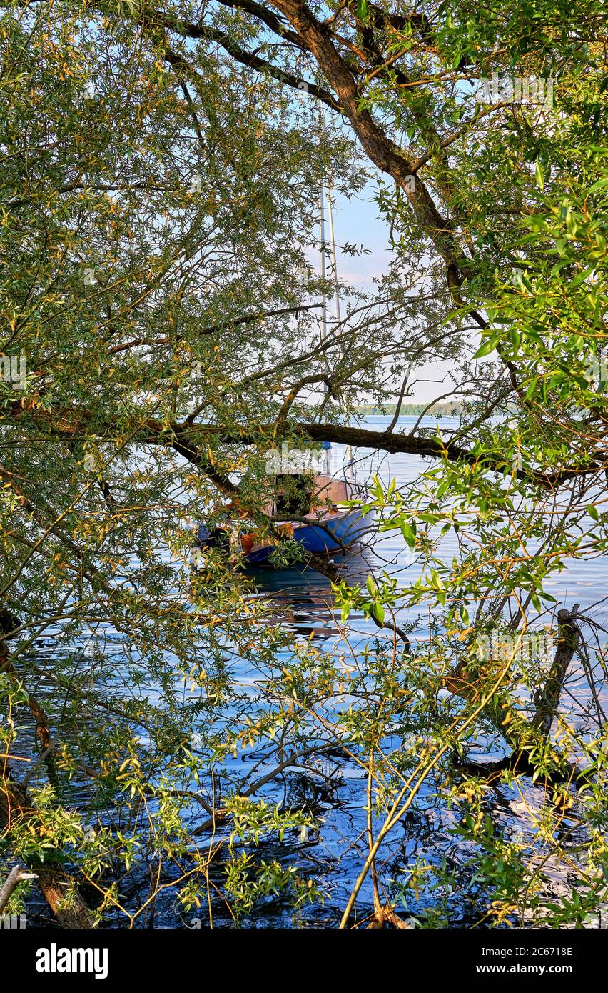 Boat among trees hi-res stock photography and images - Alamy