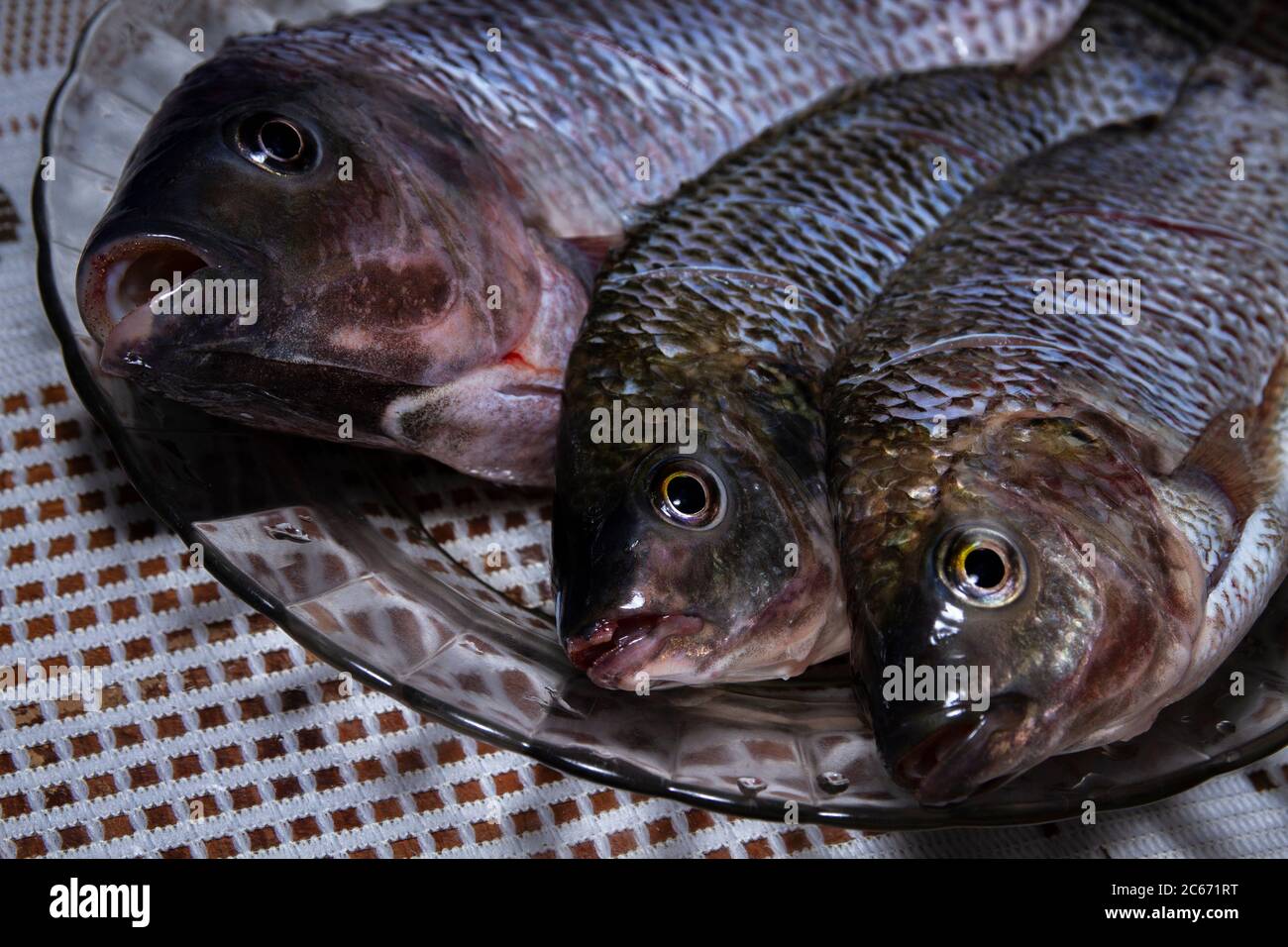 Nile tilapia fish, Oreochromis niloticus on the plate Stock Photo - Alamy