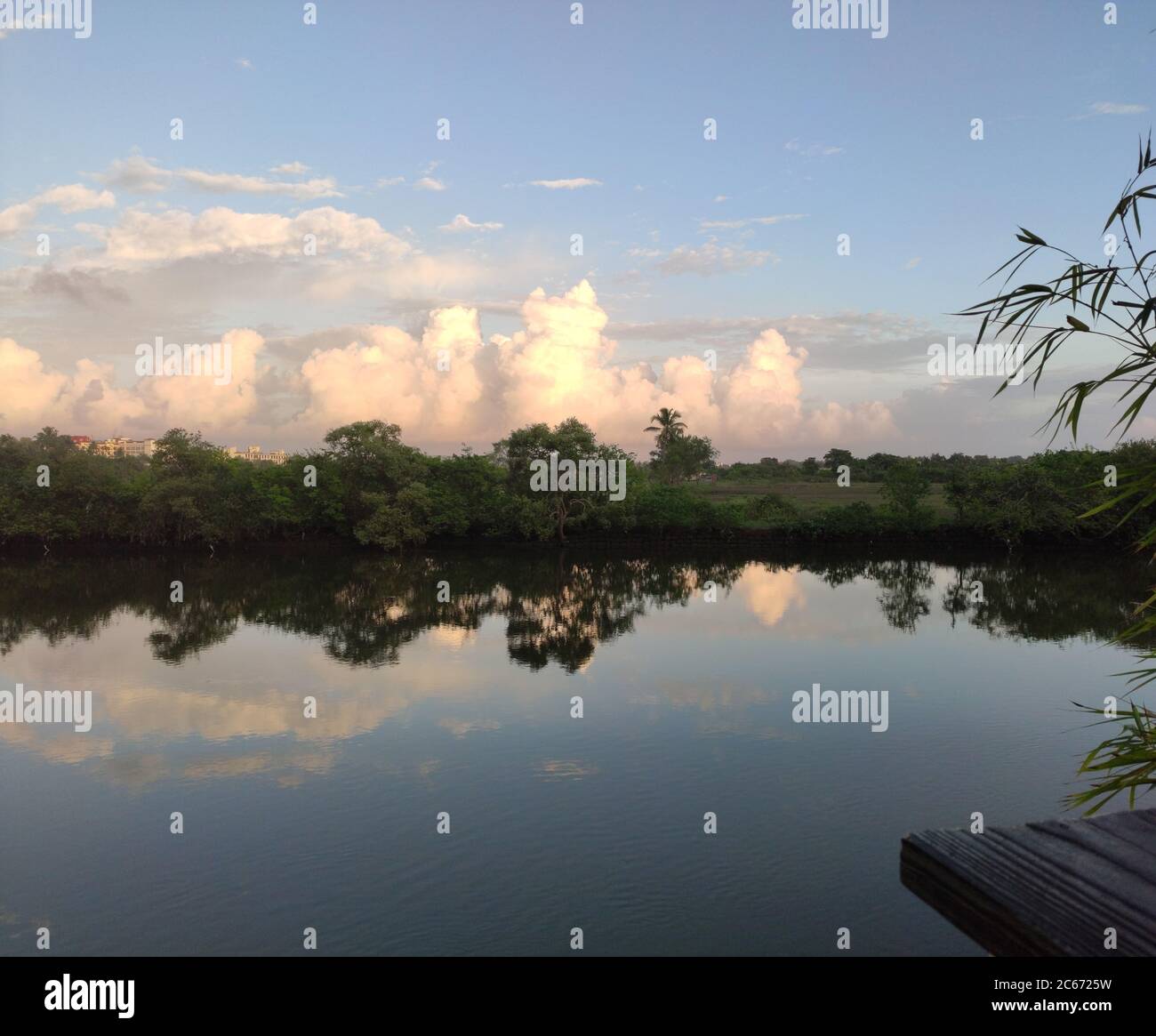 Baga road hi-res stock photography and images - Alamy