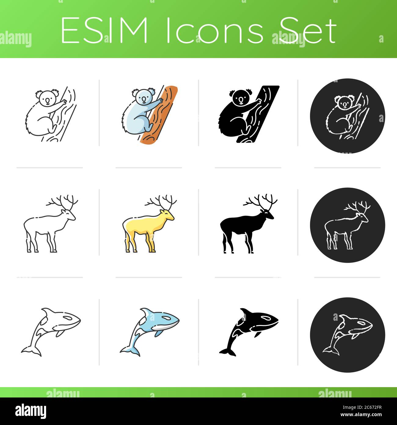 Buck koala hi-res stock photography and images - Alamy