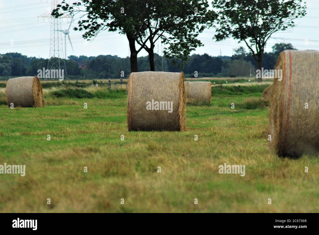 Pressed bales hi-res stock photography and images - Alamy