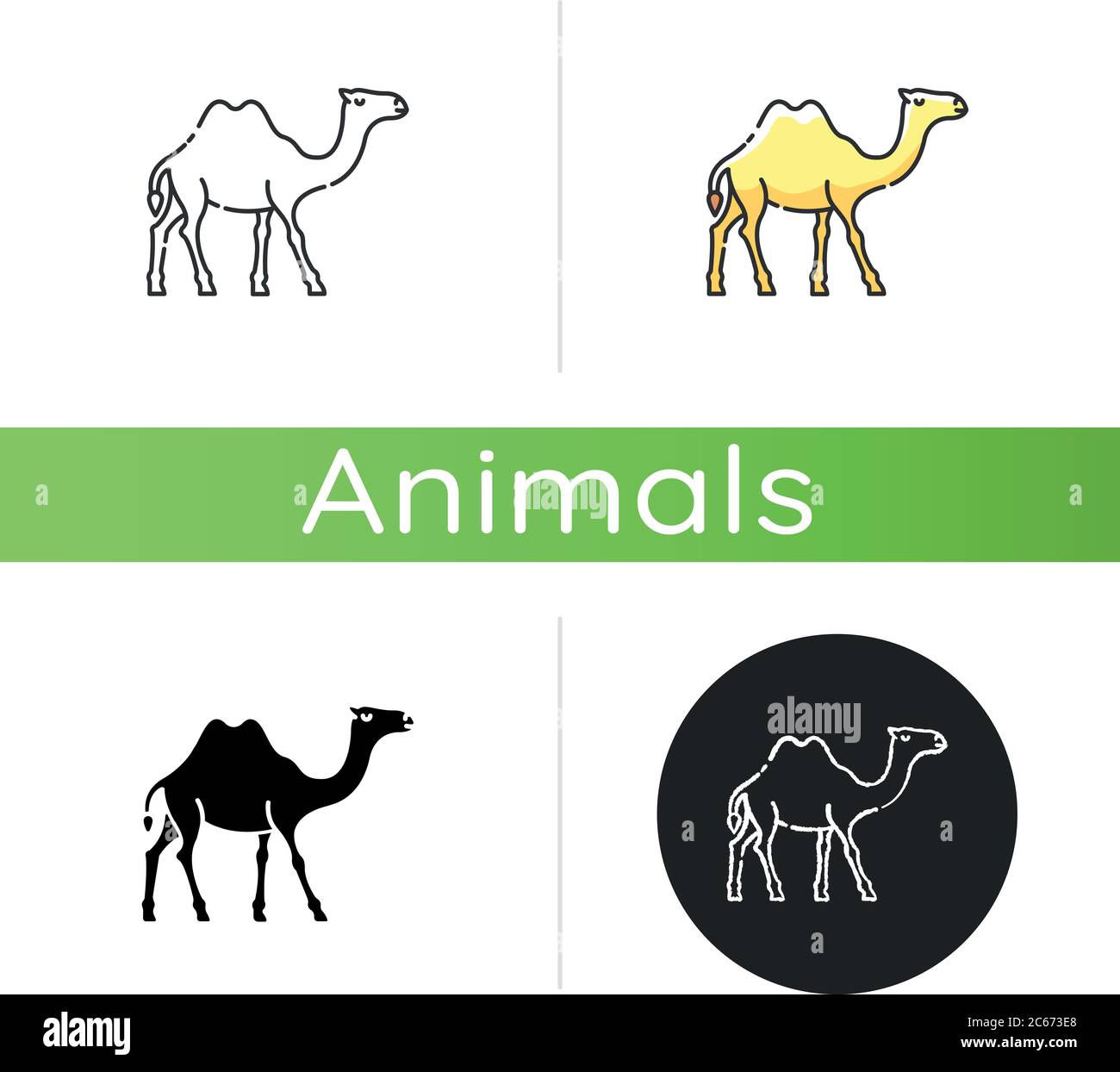 Camel icon. Linear black and RGB color styles. Arabian domesticated ...